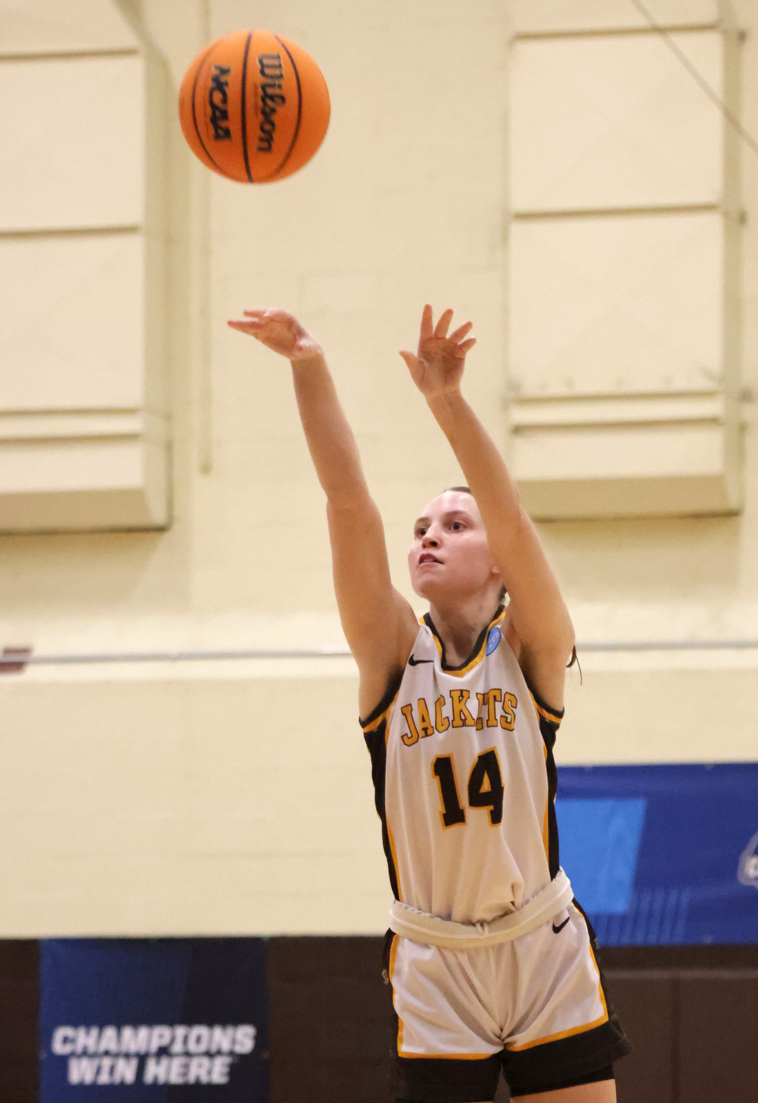Baldwin Wallace vs. La Roche, Women's Div III basketball first round ...