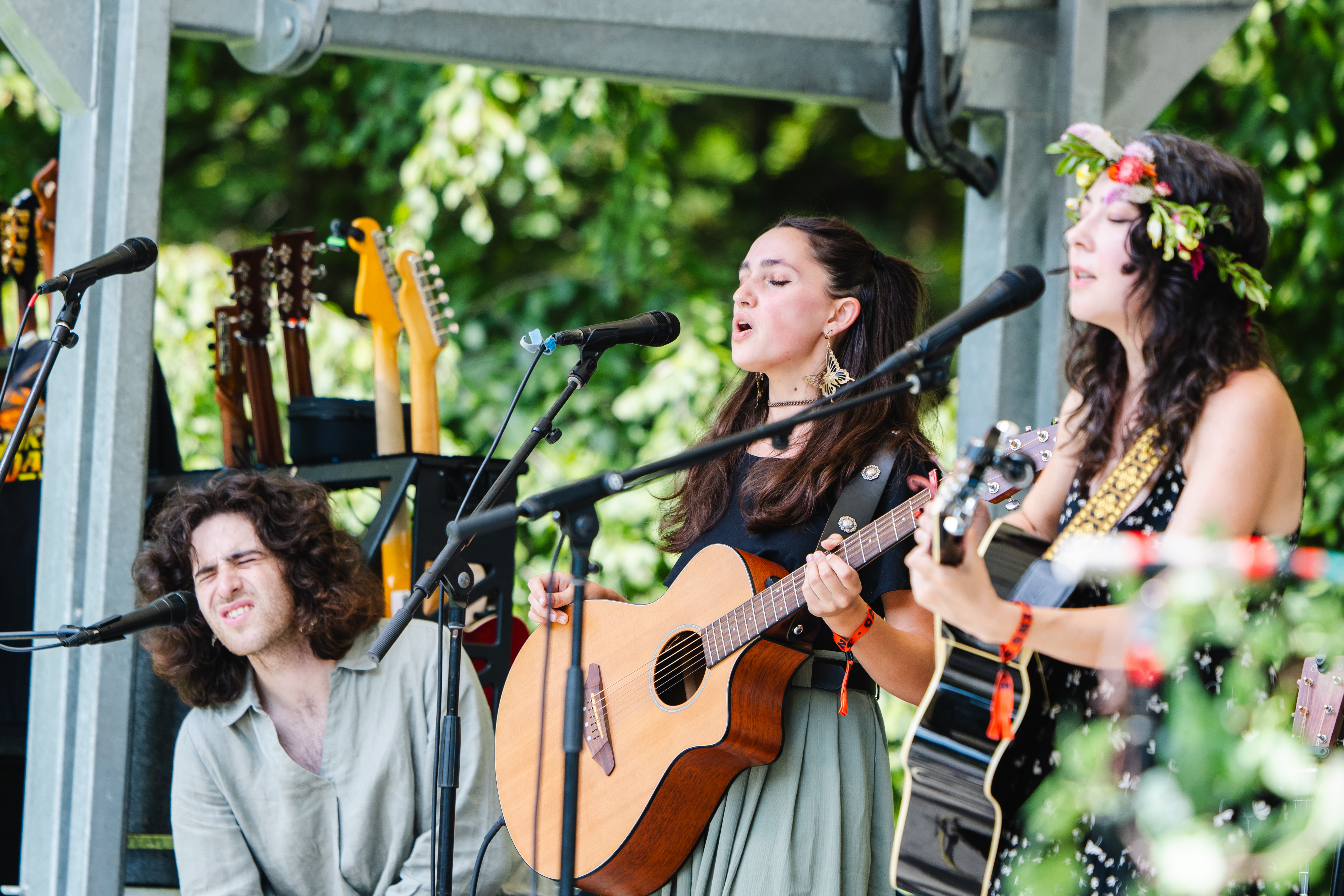 Arcadia Folk Festival in Easthampton - masslive.com