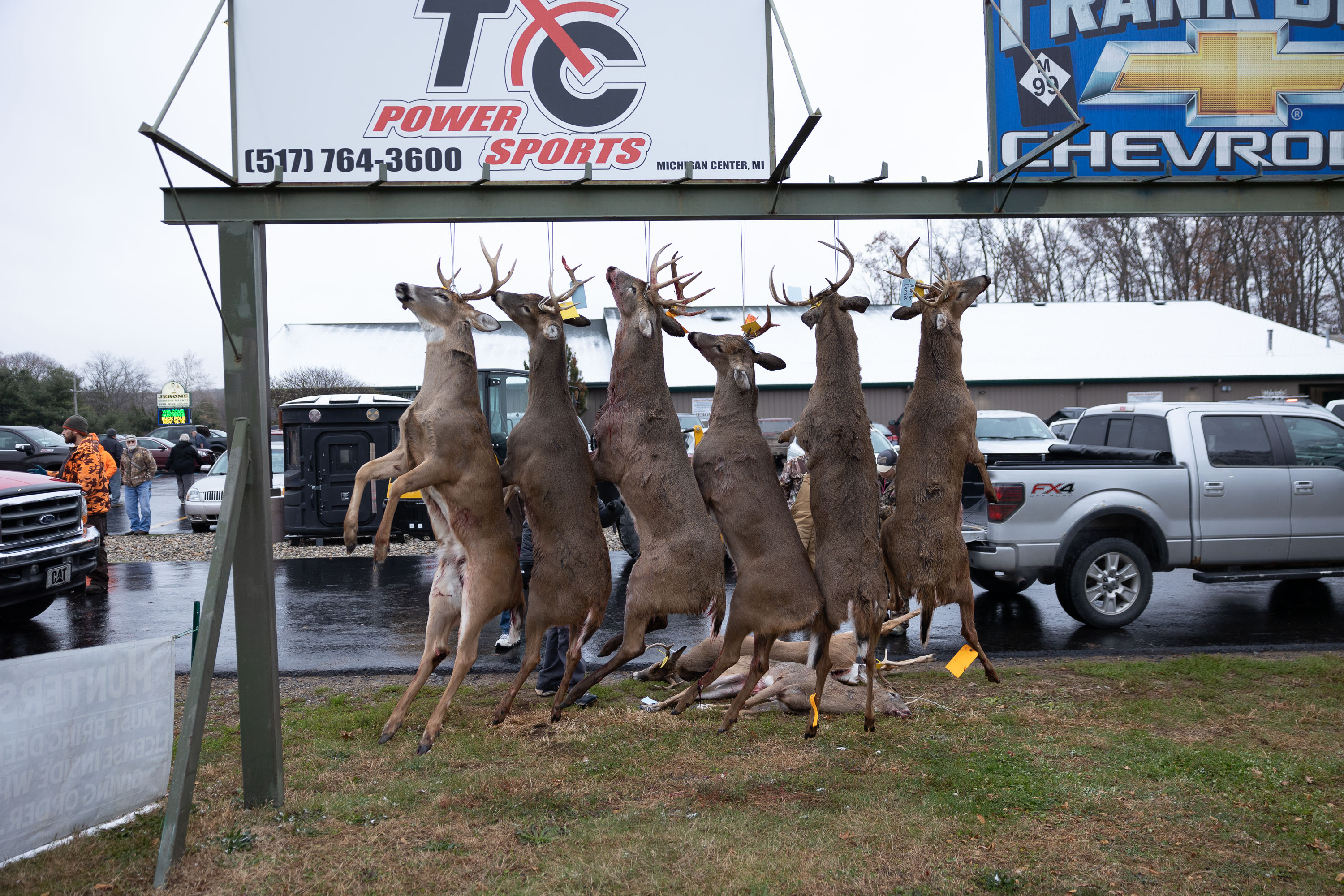 2022 Buck Pole at Jerome Country Market - mlive.com