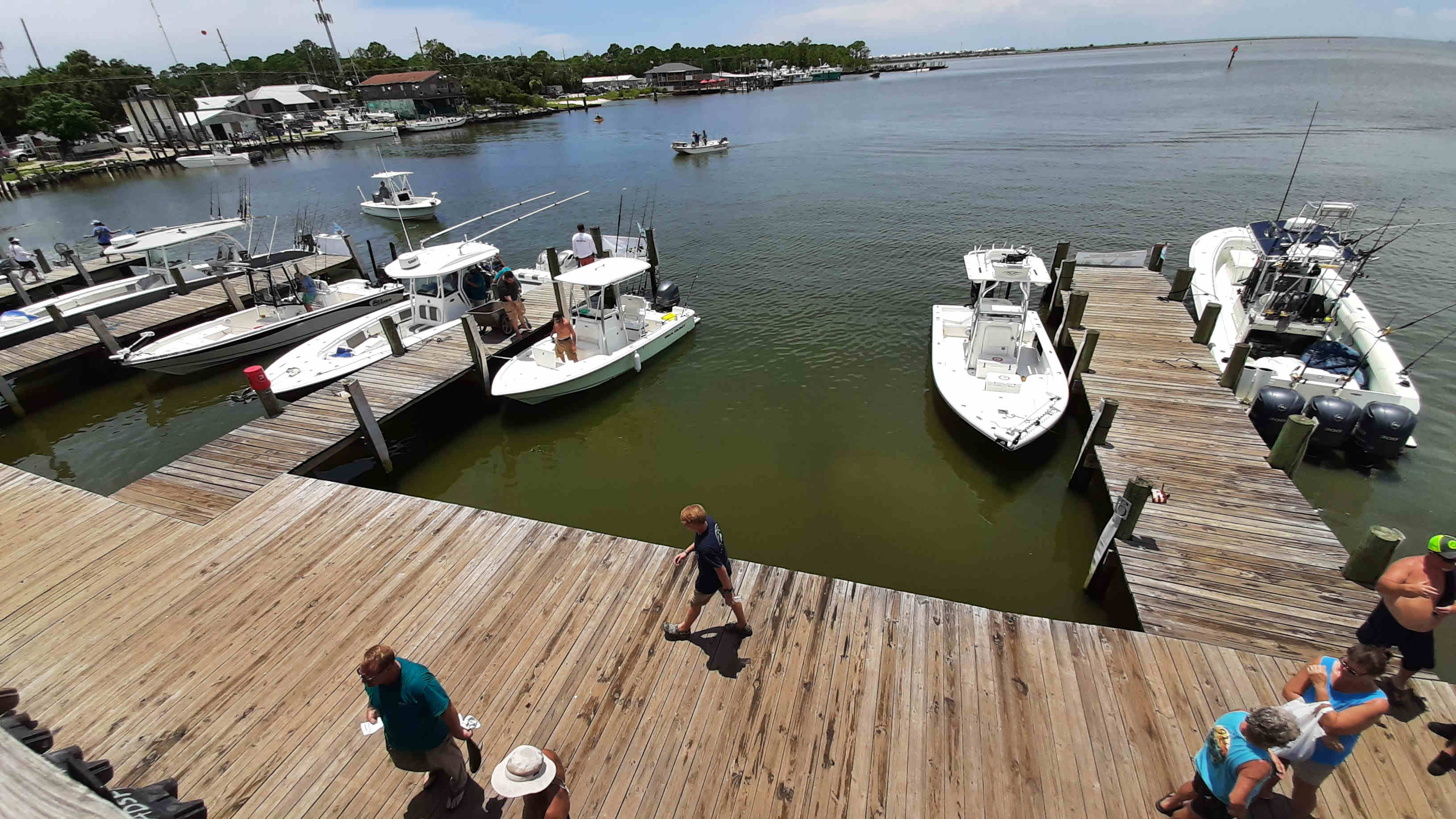 Alabama Deep Sea Fishing Rodeo 2021 - al.com