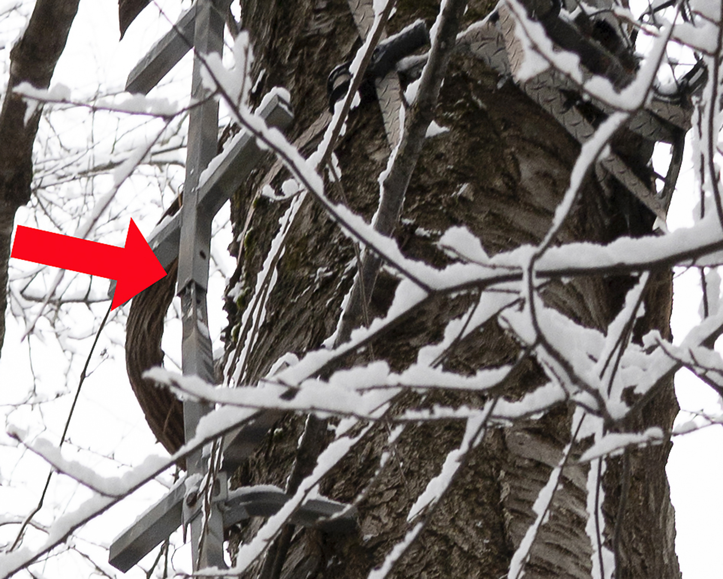 He didn’t need to die: CNY hunter’s family tries to move on after fatal ...