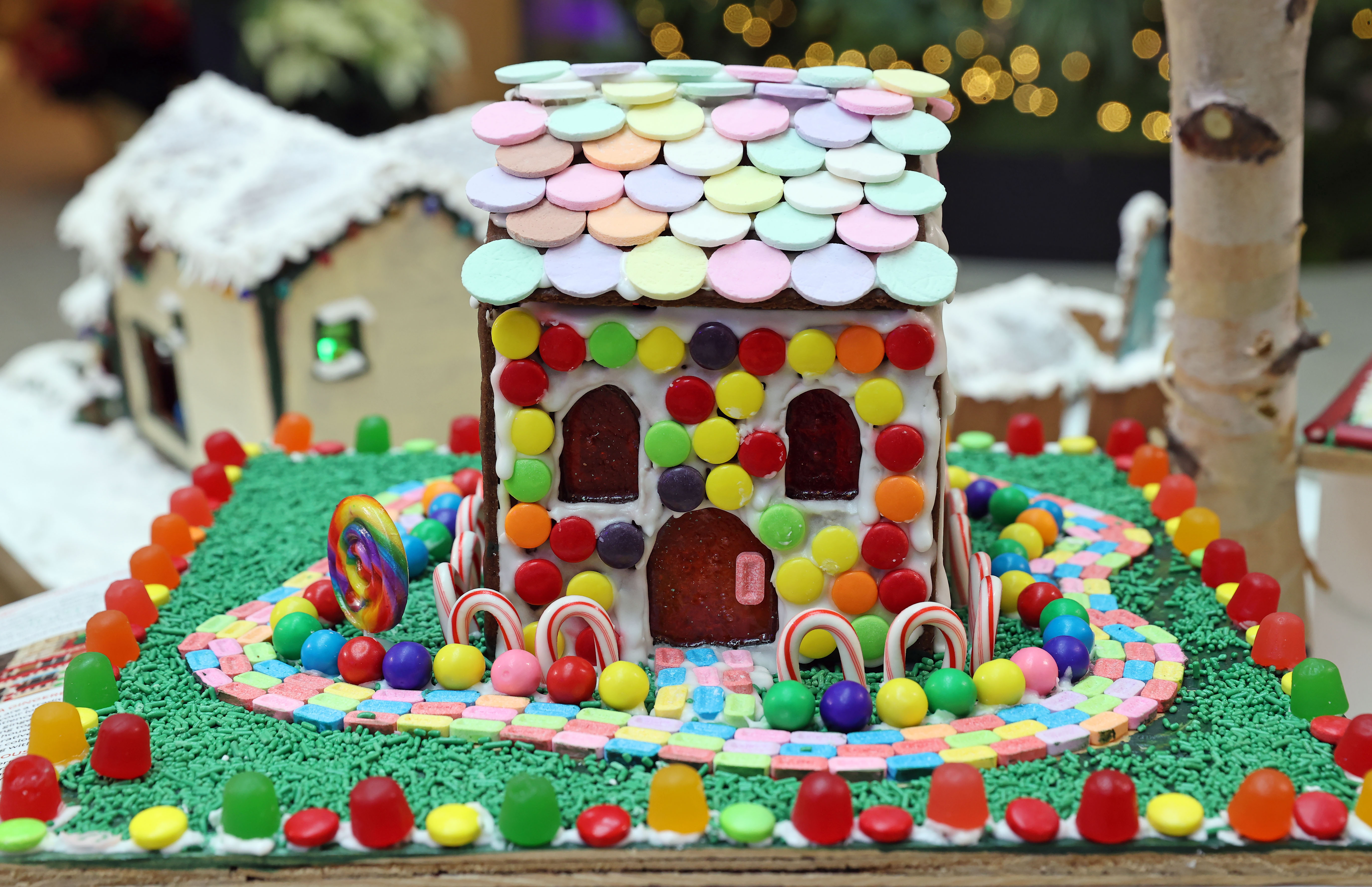 Gingerbread displays at Cleveland Botanical Garden, November 17, 2022 ...