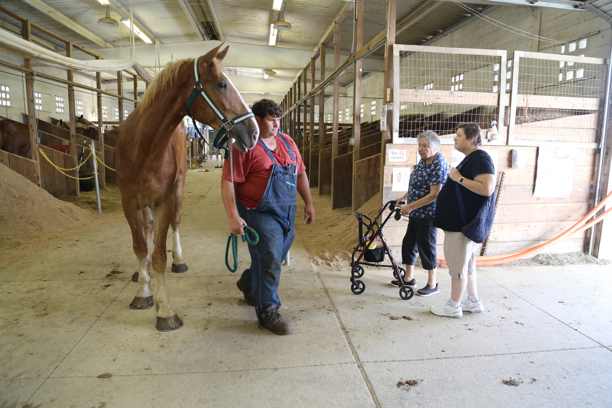2022 Cuyahoga County Fair opening day - cleveland.com