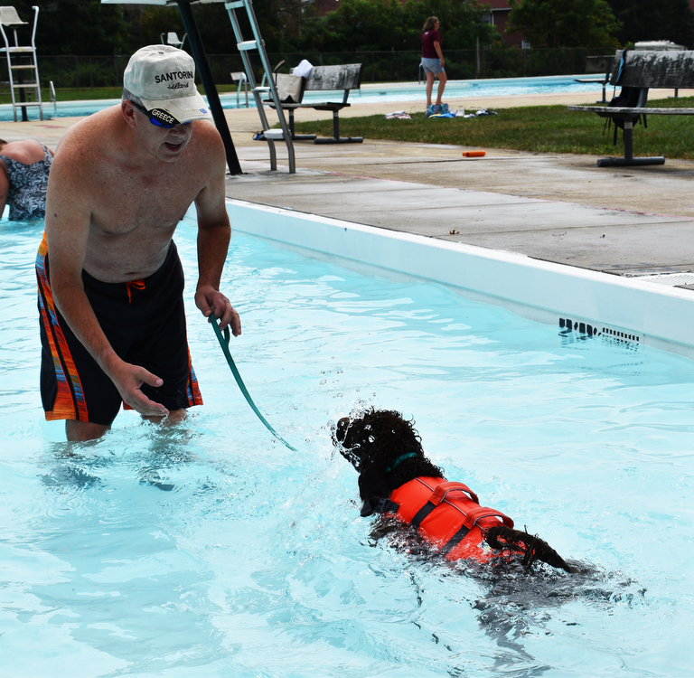 Allentown's Mack Pool goes to the dogs - lehighvalleylive.com