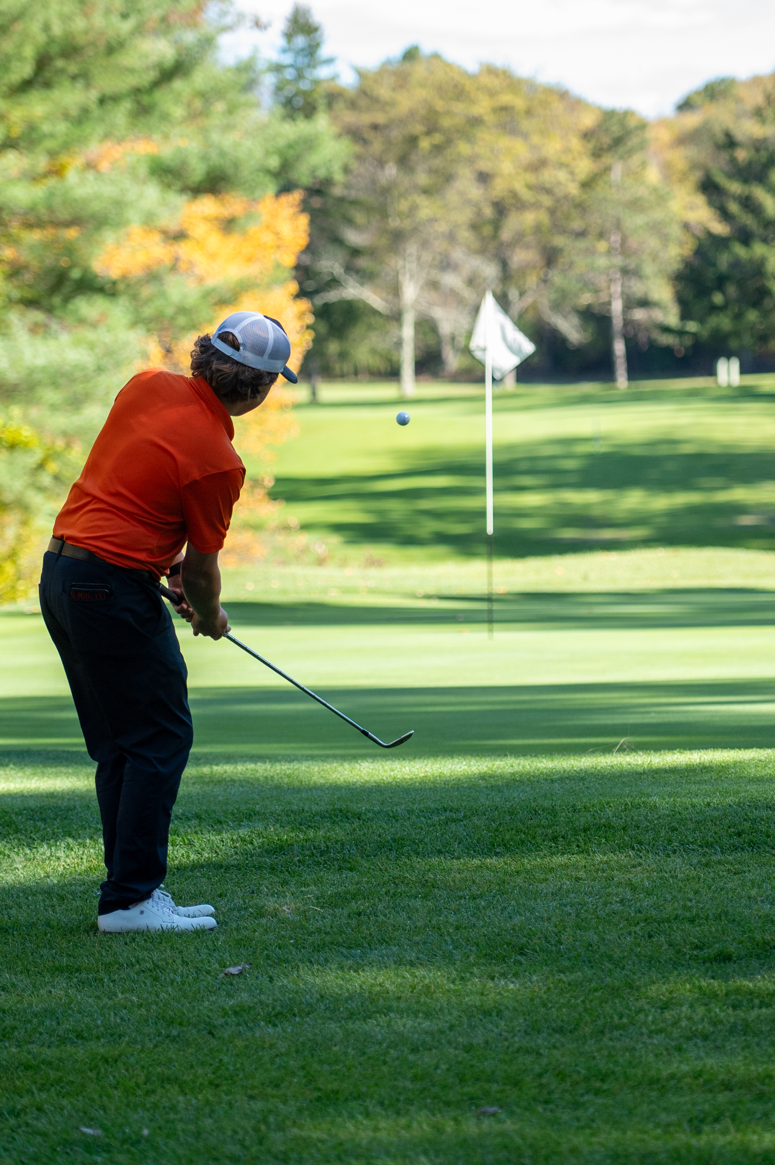 WMass D-I Championship: Longmeadow golf team, Ryan Downes claims titles ...