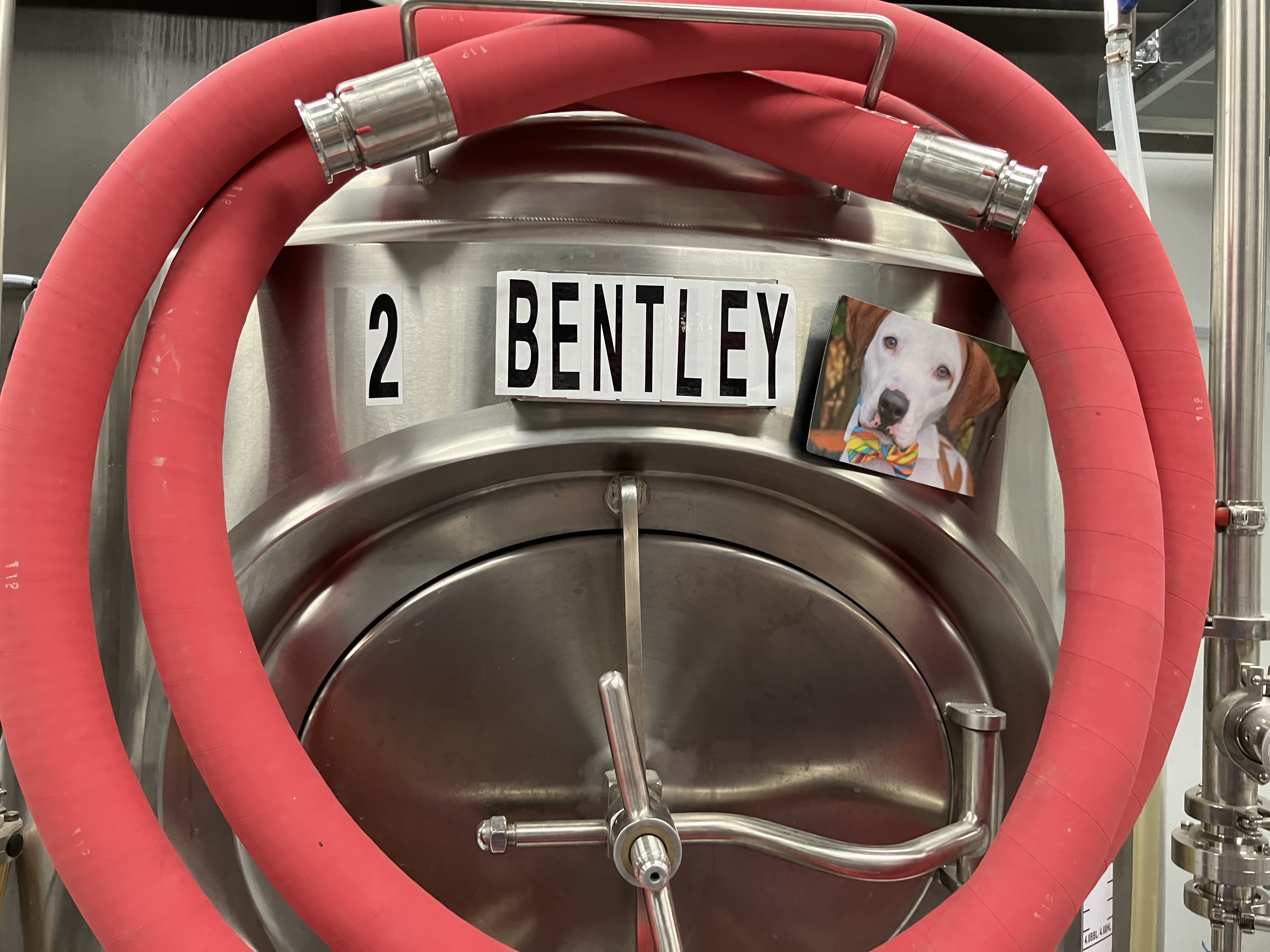 Four Paws Brewing Co. - cleveland.com