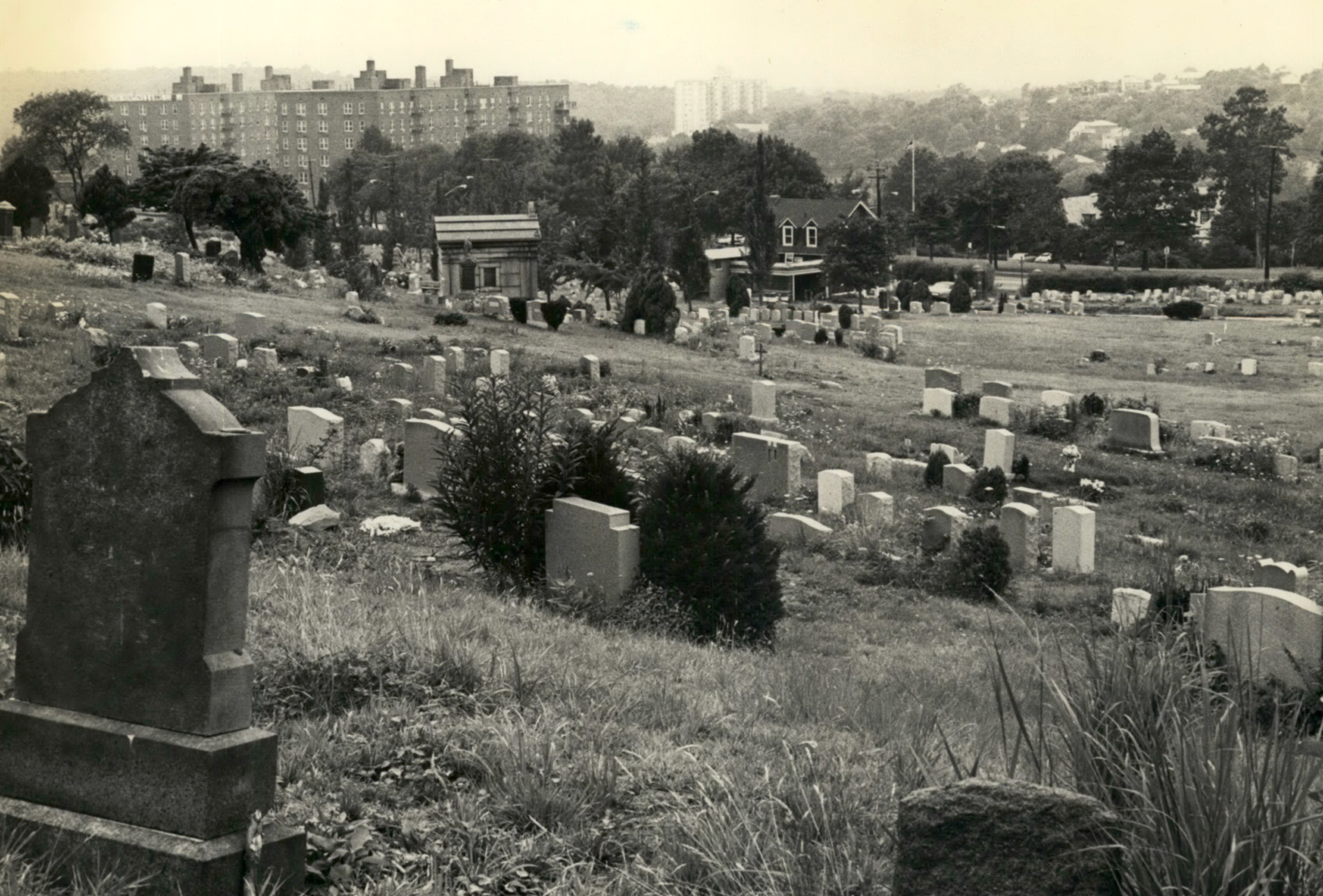 Staten Island cemeteries|Then and now - silive.com