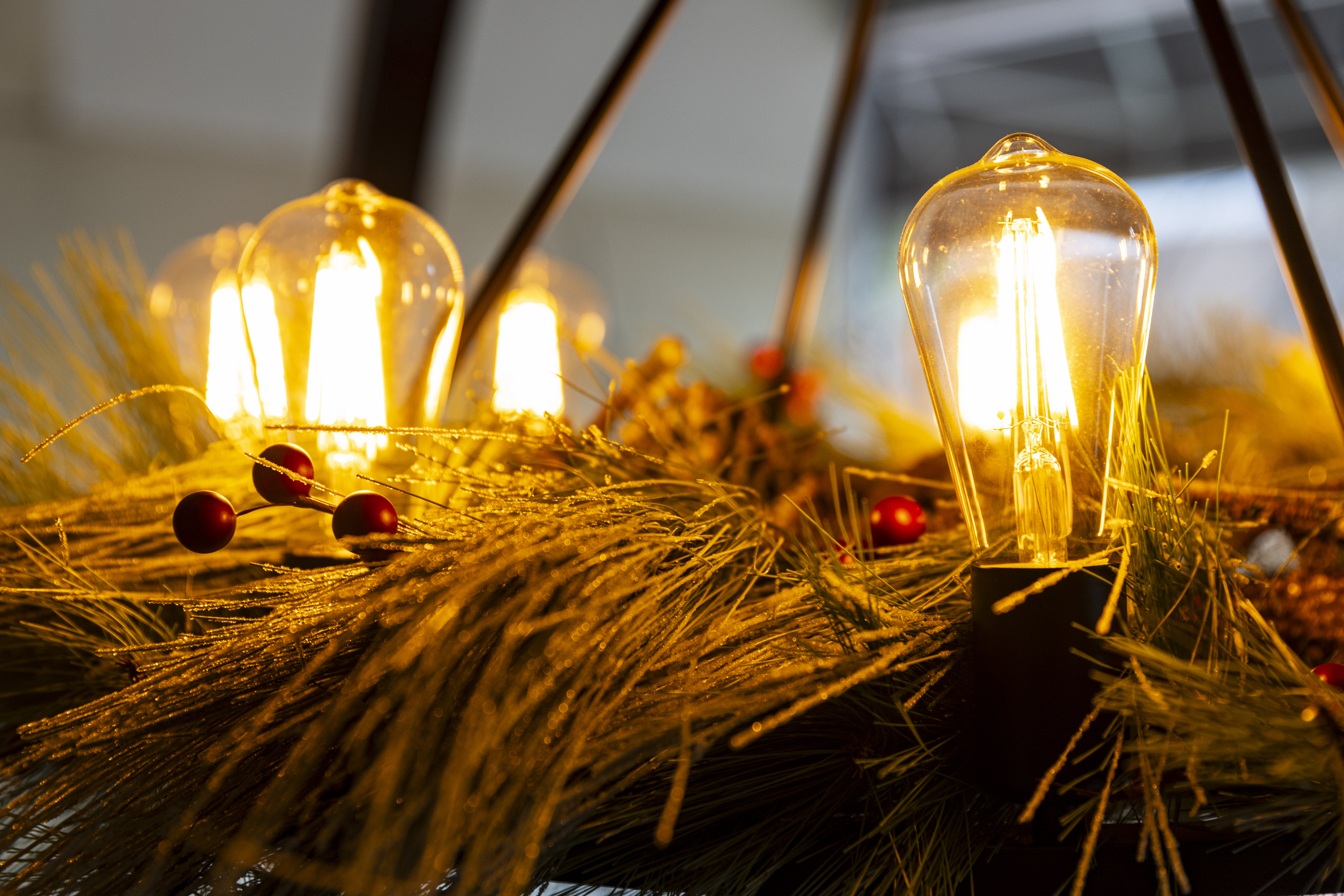 Catch a sneak peak of the Grand Rapids Christkindl Markt Alpenglobe ...