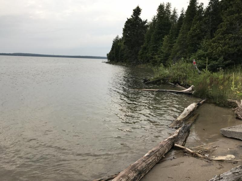 Butterfield Island, Michigan - mlive.com