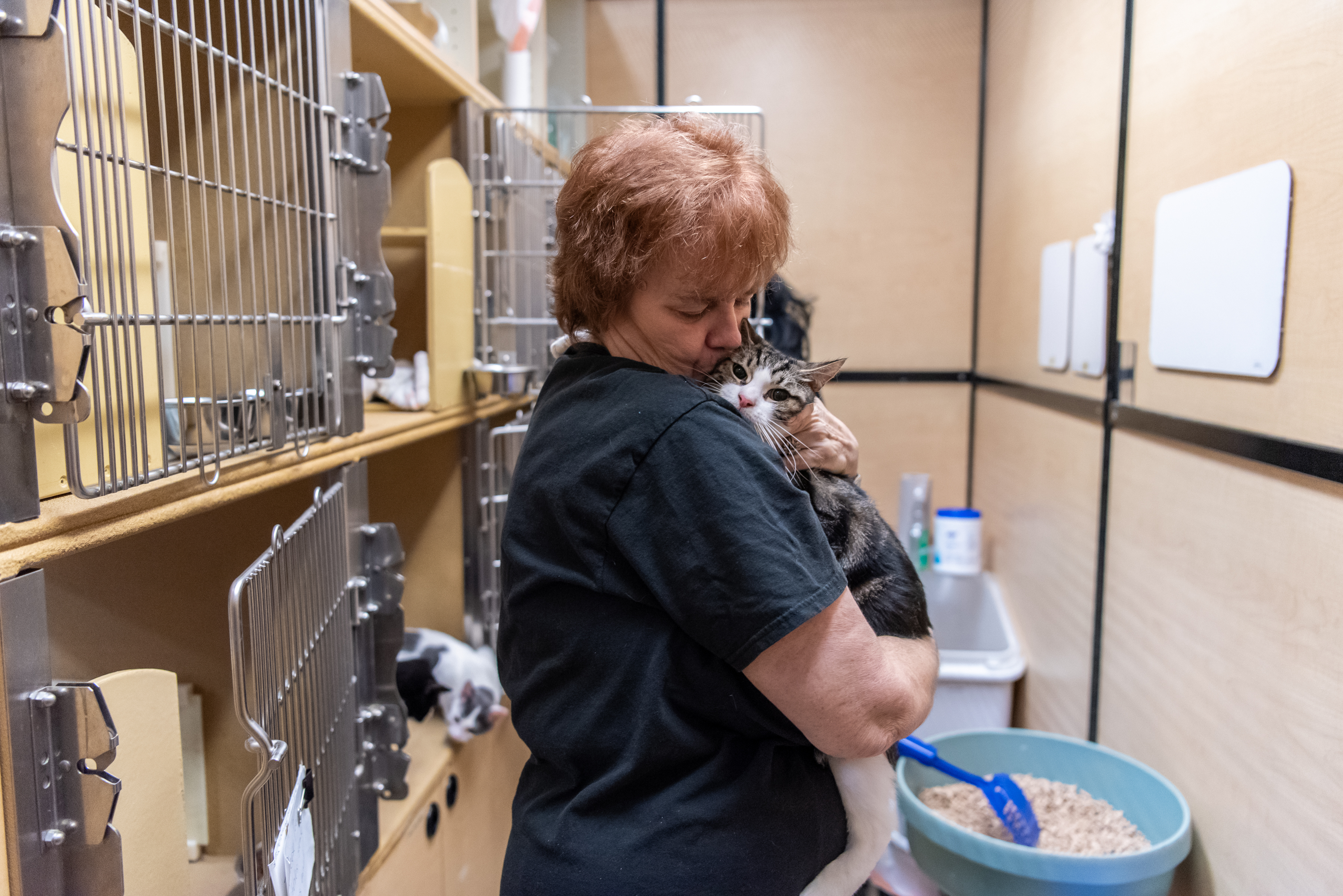 Animal adoption center at Secaucus PetSmart - nj.com