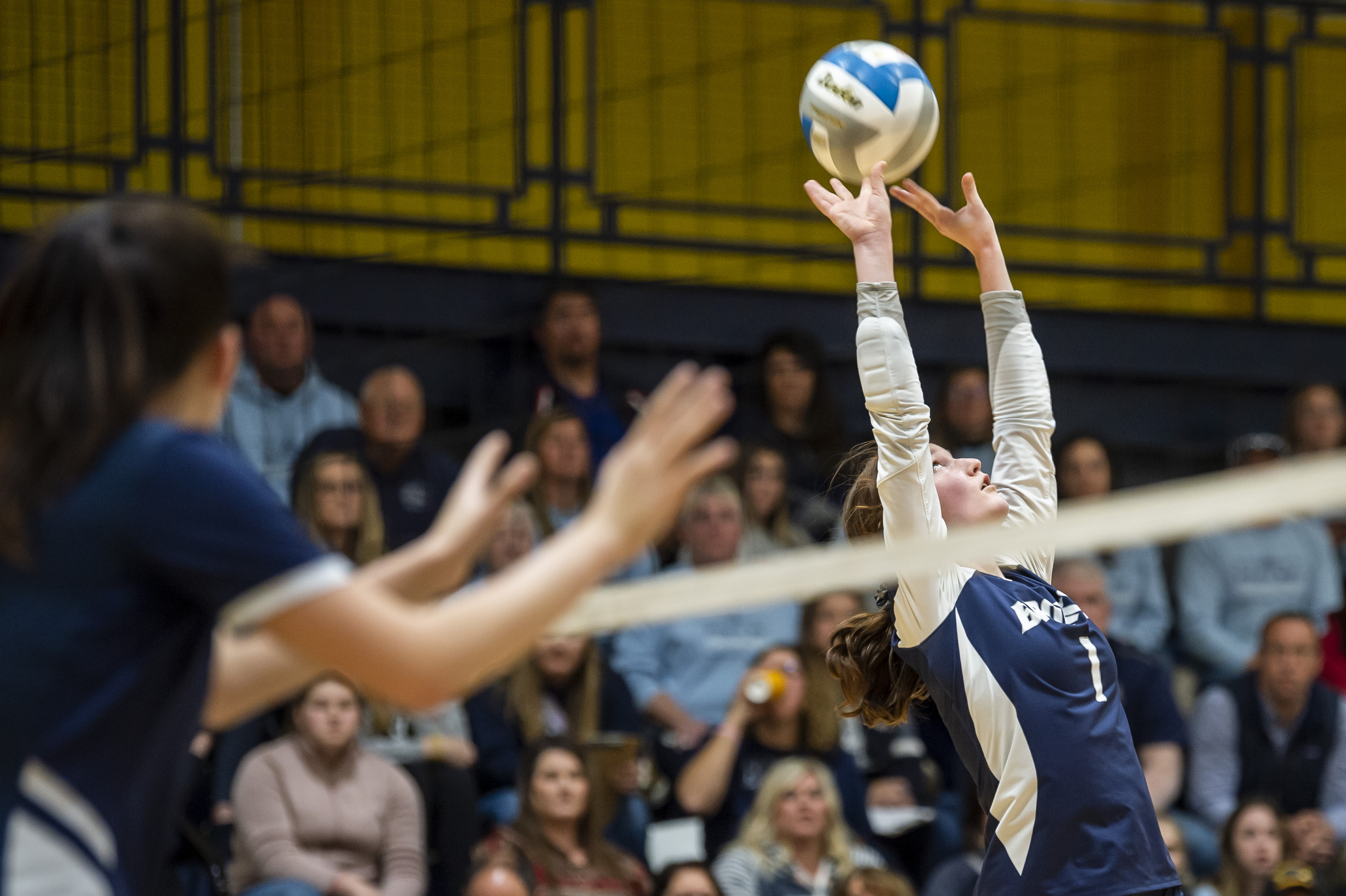 North Branch volleyball defeats Mt. Morris in quarterfinal match ...