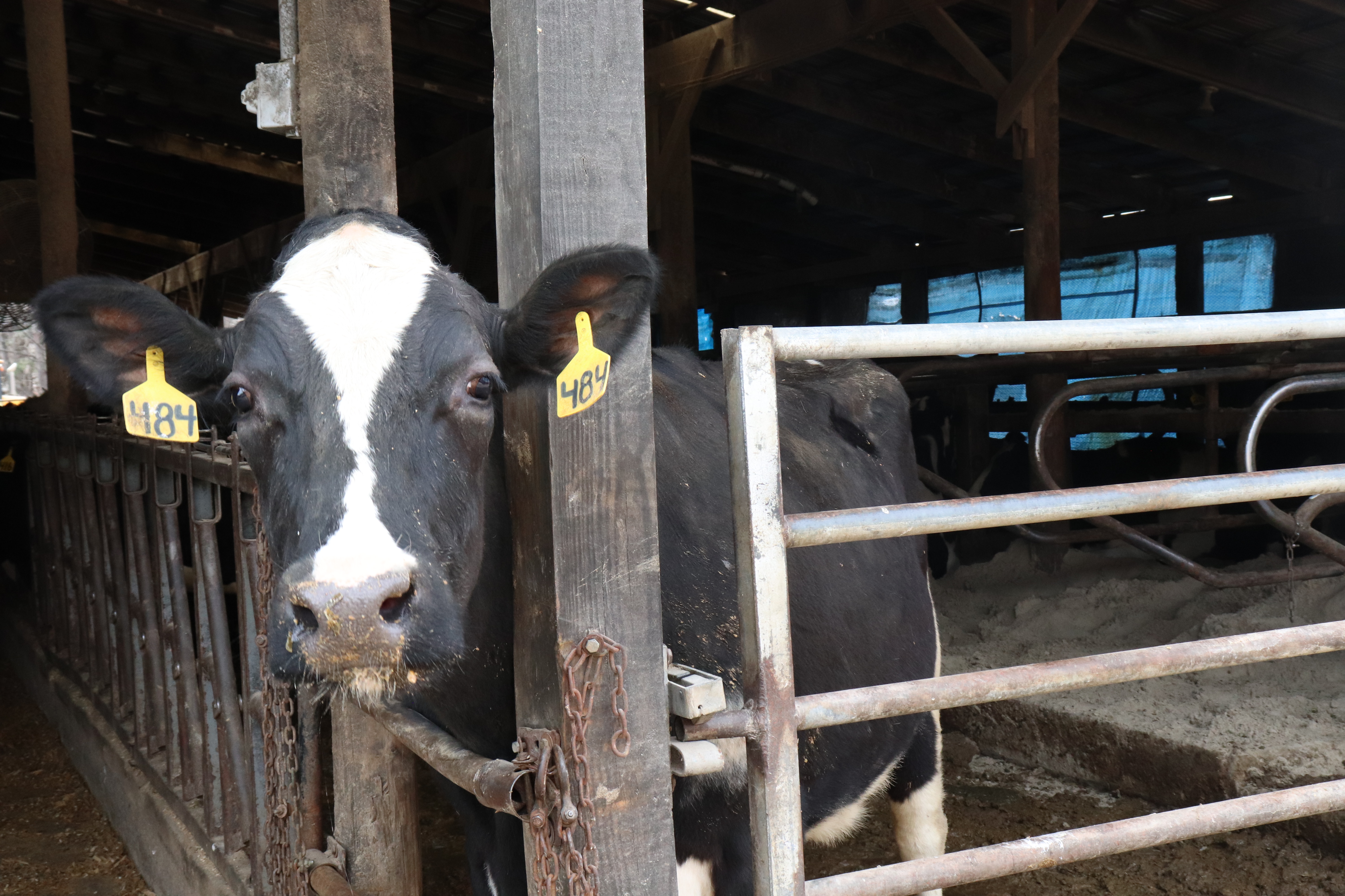 Smith's Country Cheese in Winchendon - masslive.com