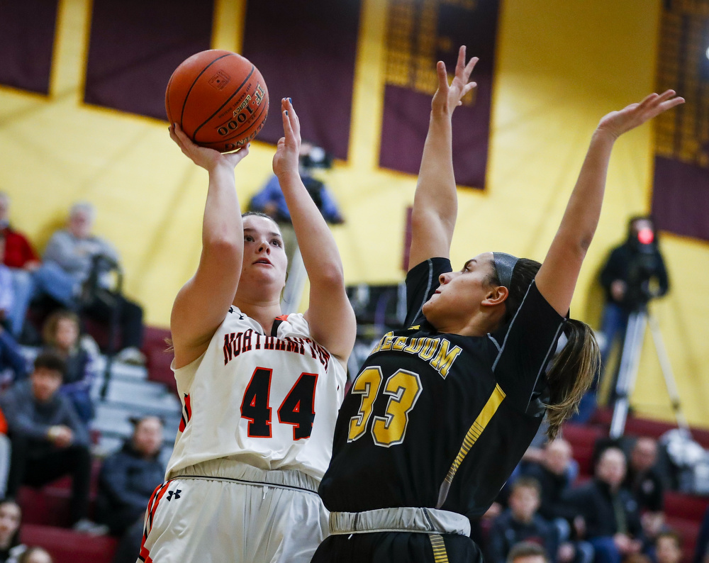 District 11 Class 6A girls basketball quarterfinals: Freedom vs ...