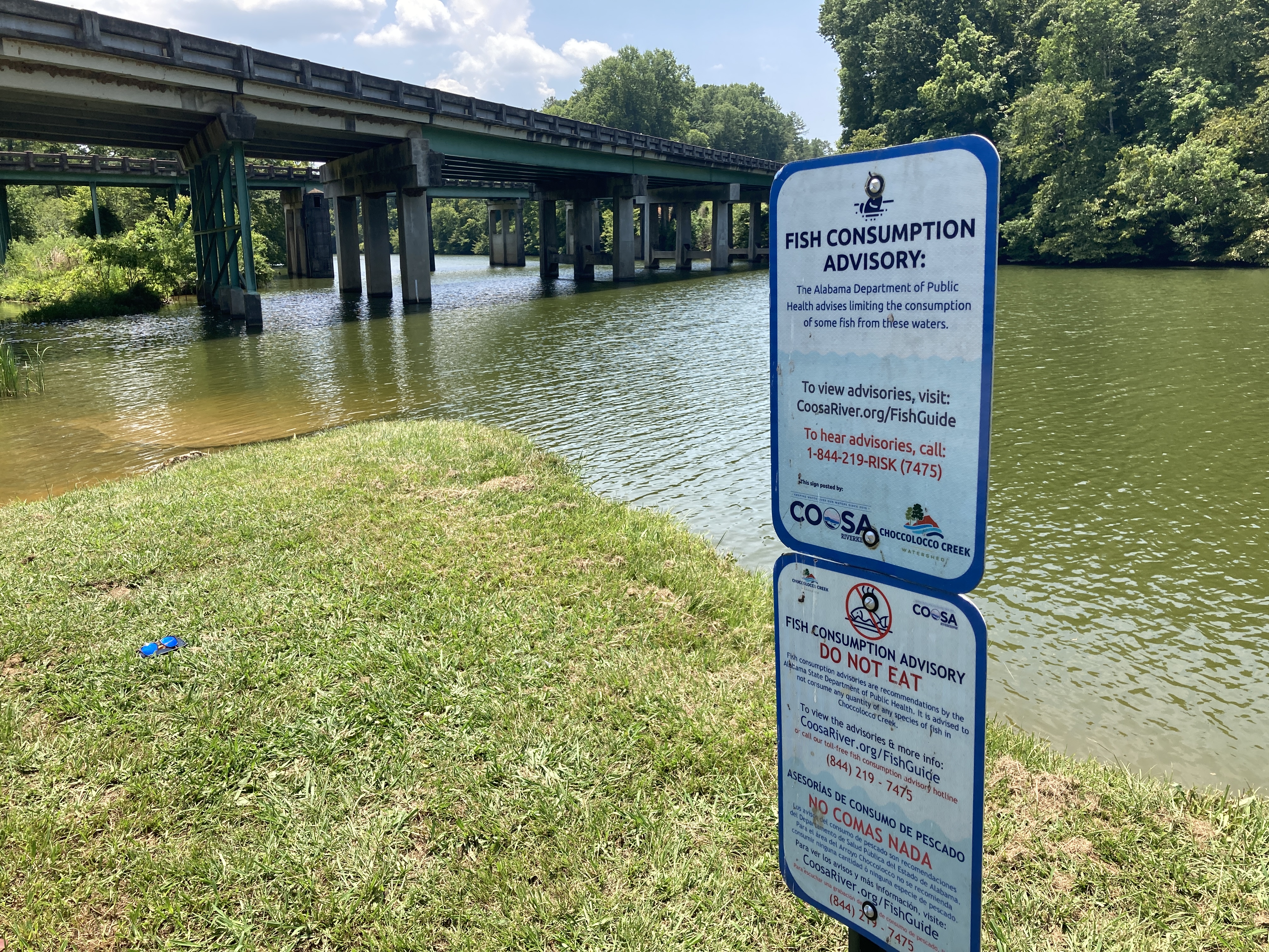 EPA weighs major cleanup on Choccolocco Creek in Alabama - al.com