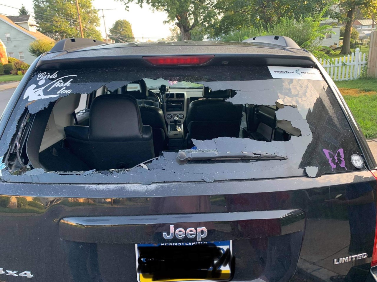 Vehicle smashing spree - pennlive.com