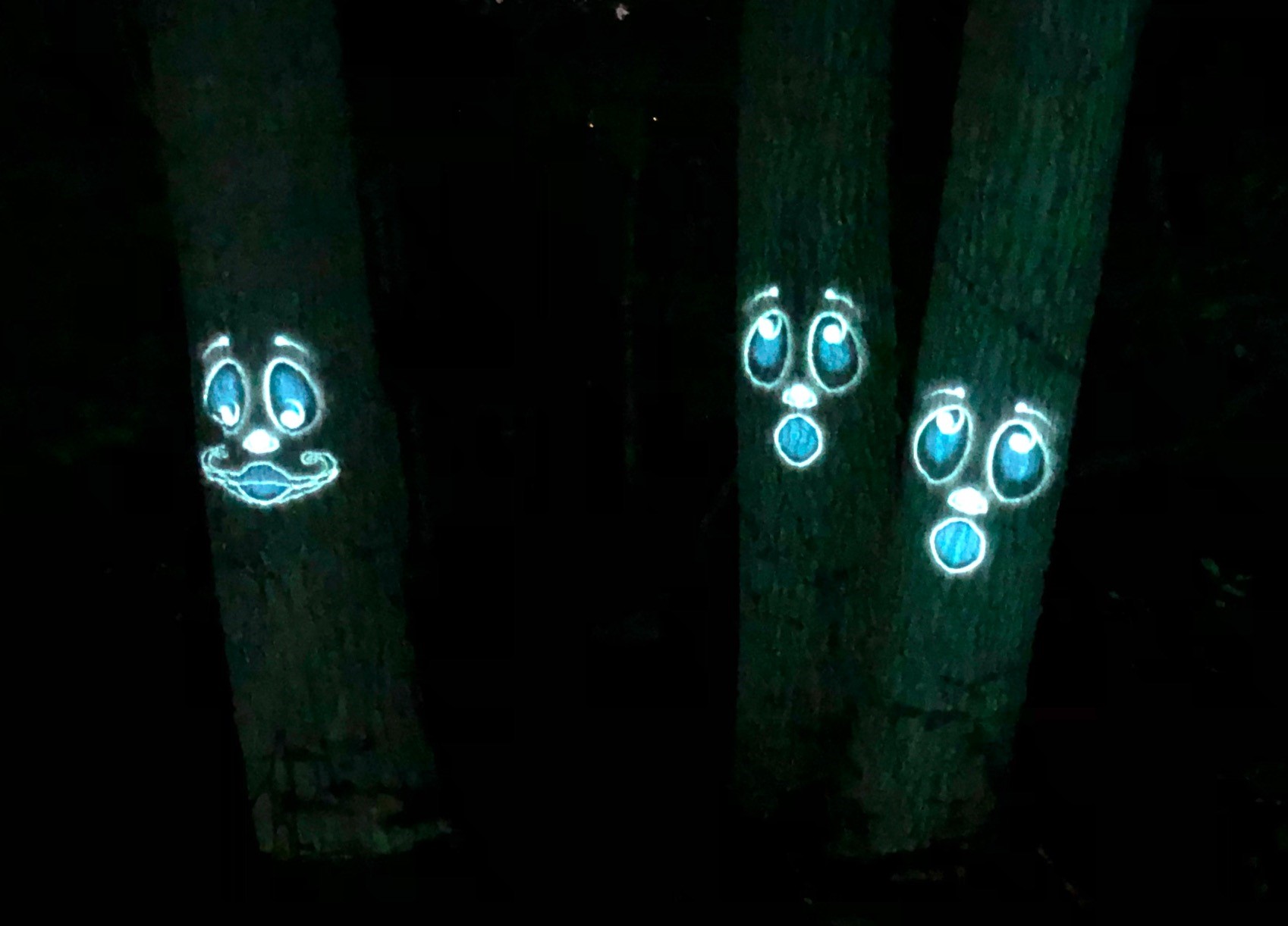Glenlore Trails forest light show experience - mlive.com