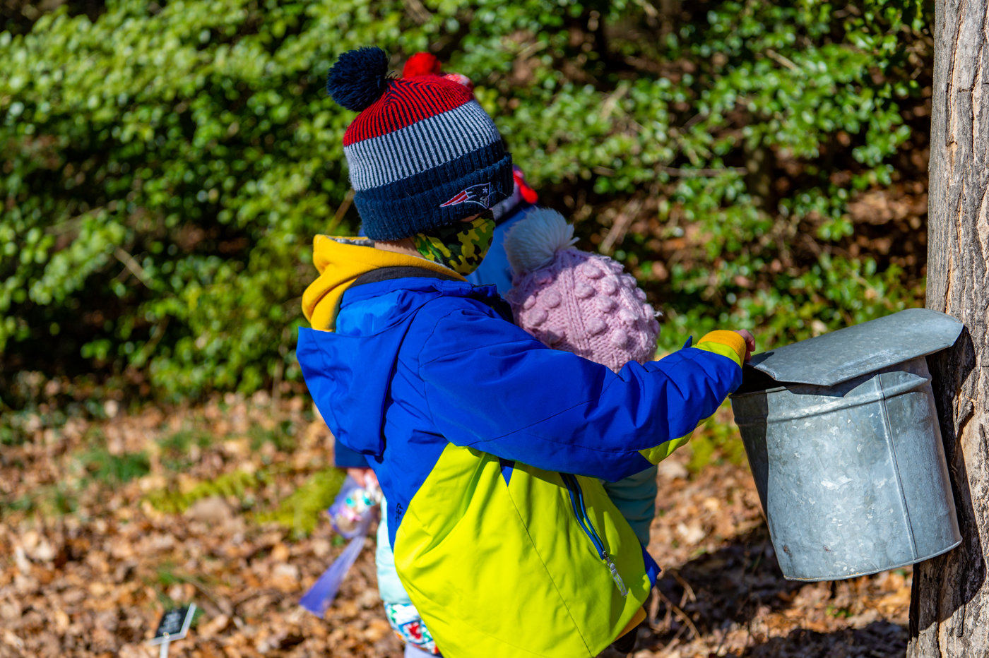 Hyperlocal Maple Sugaring - nj.com