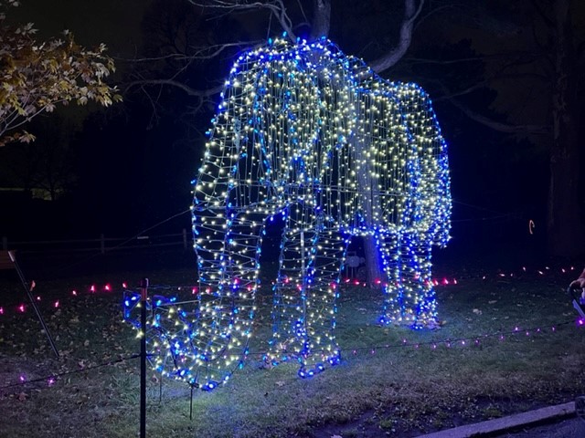 Wild Lights at the Detroit Zoo 2021 - mlive.com