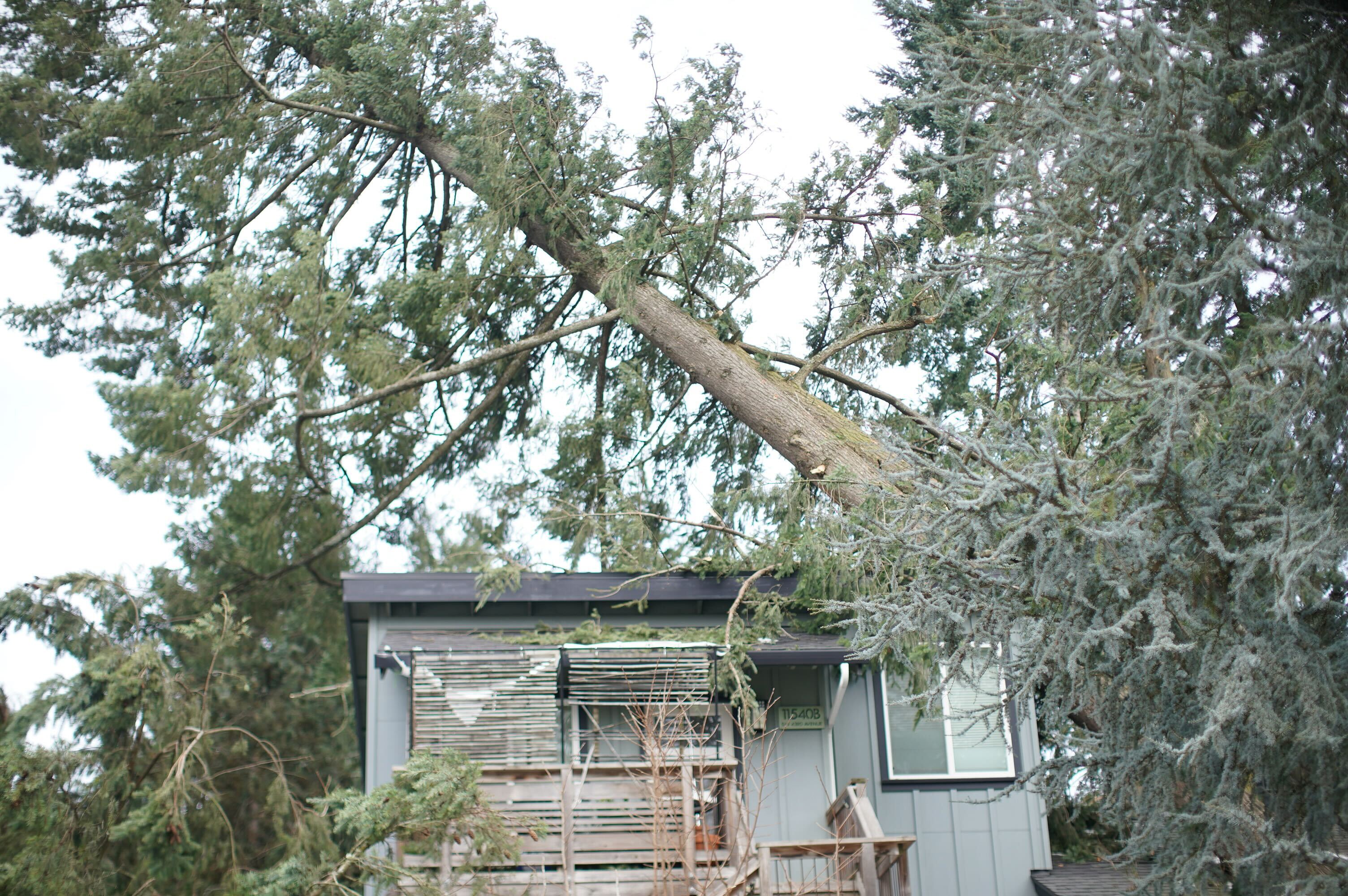 Oregon Winter Storm Day 5 January 2024 - oregonlive.com