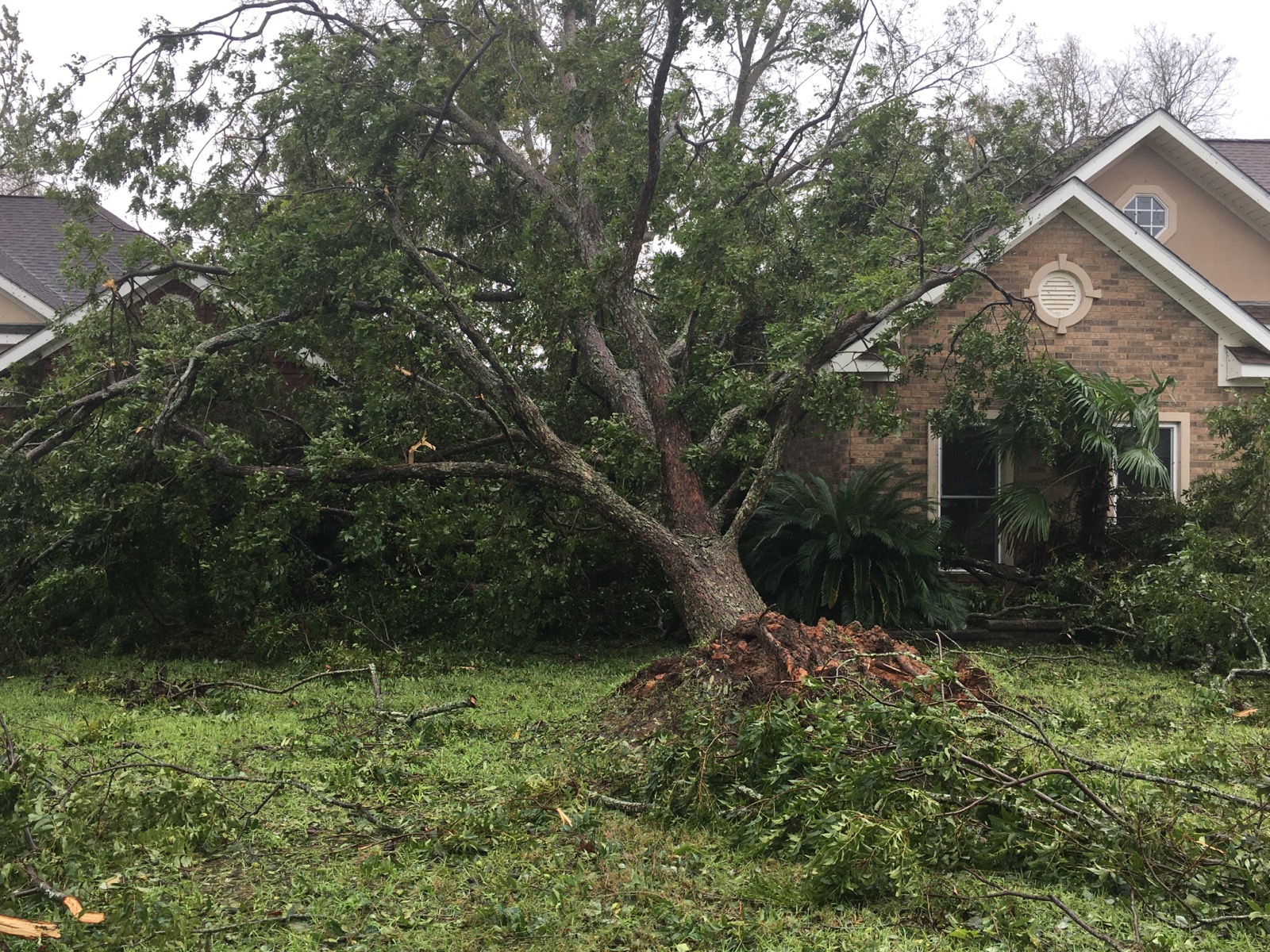 Hurricane Sally damage in coastal Alabama - pennlive.com