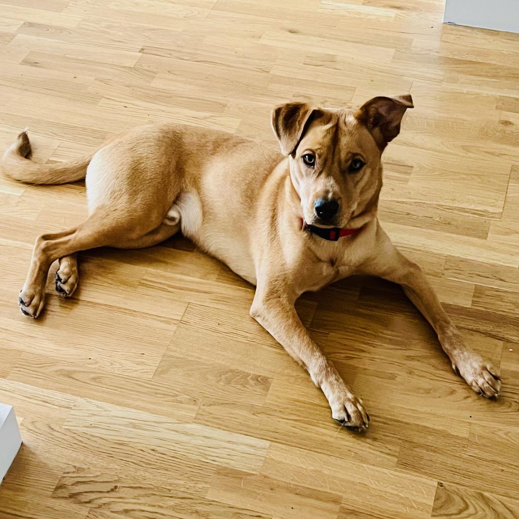 National Cat Day? We have several that will make your weekend purrrfect ...