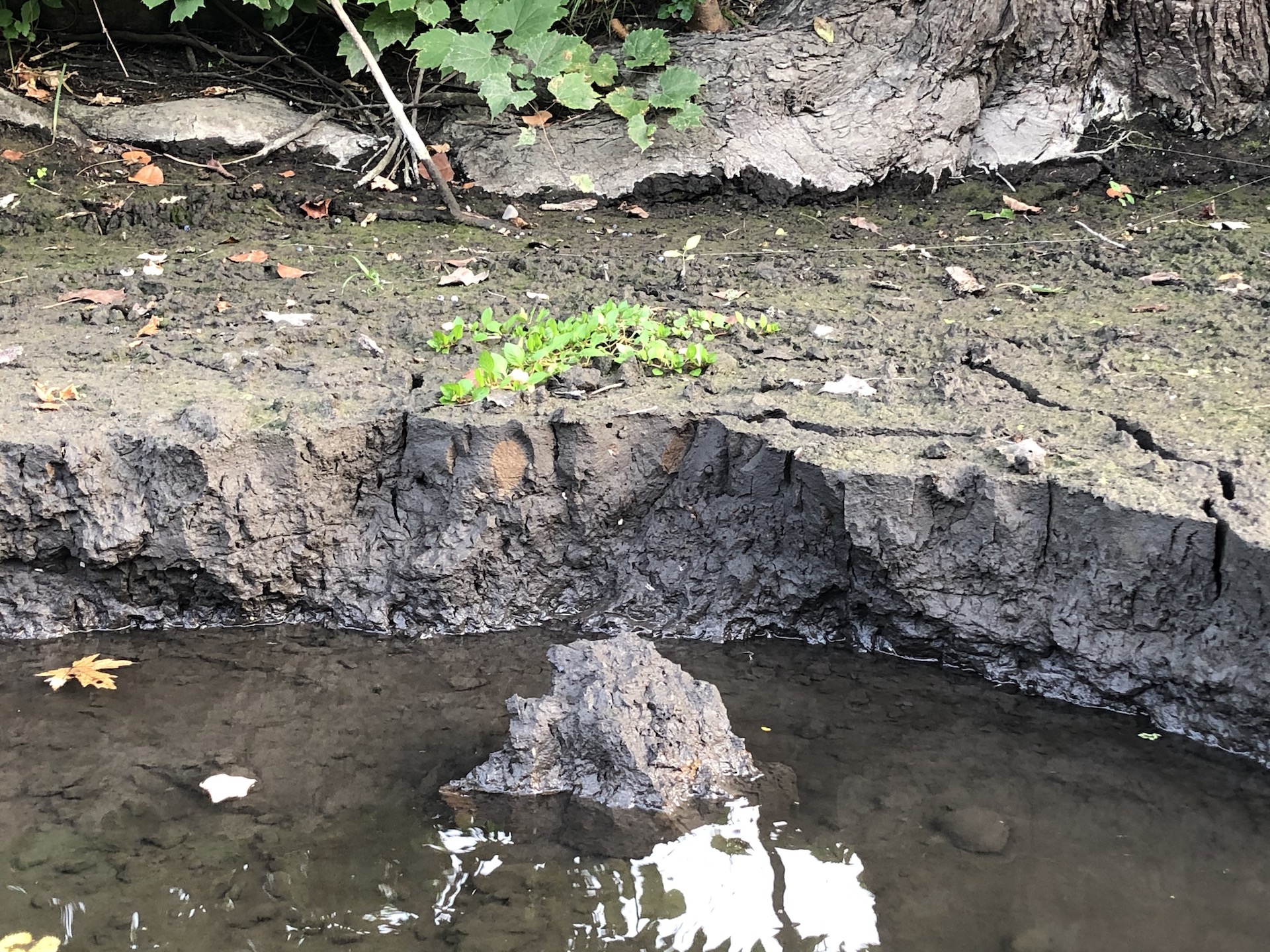 Sediment buildup in the Kalamazoo River - mlive.com