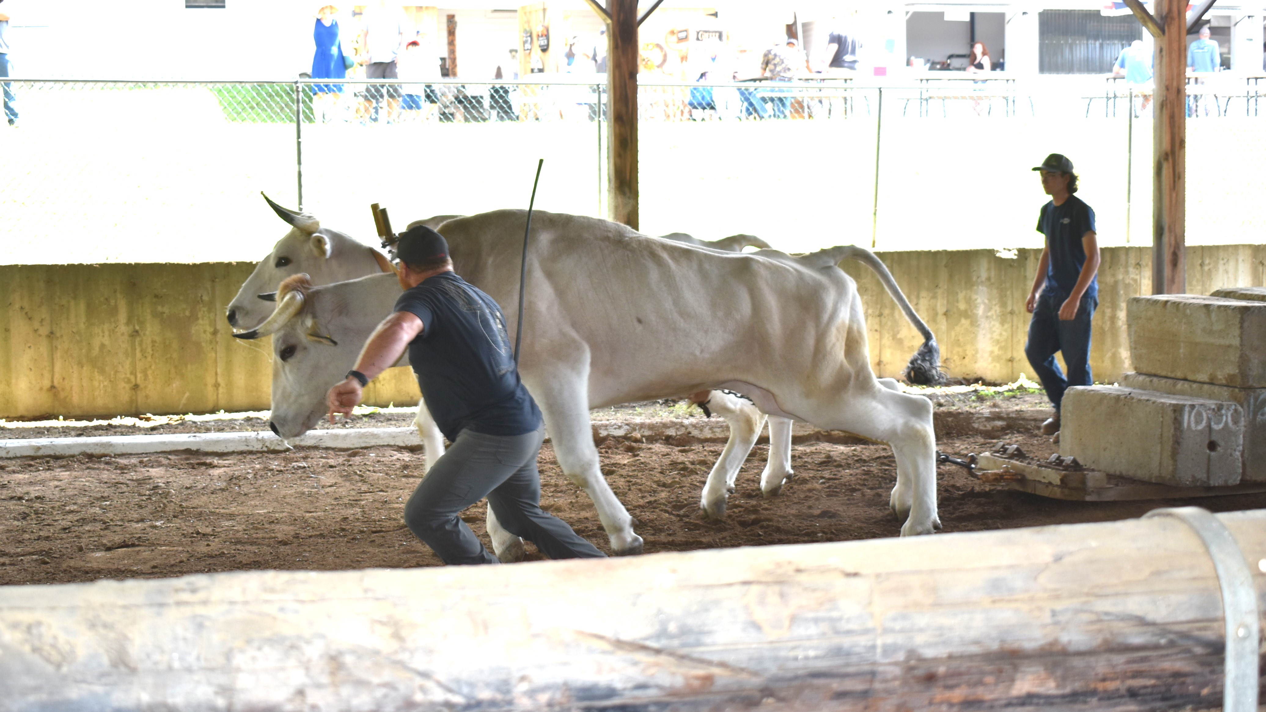 101st Littleville Fair, Aug. 5, 2023 - masslive.com