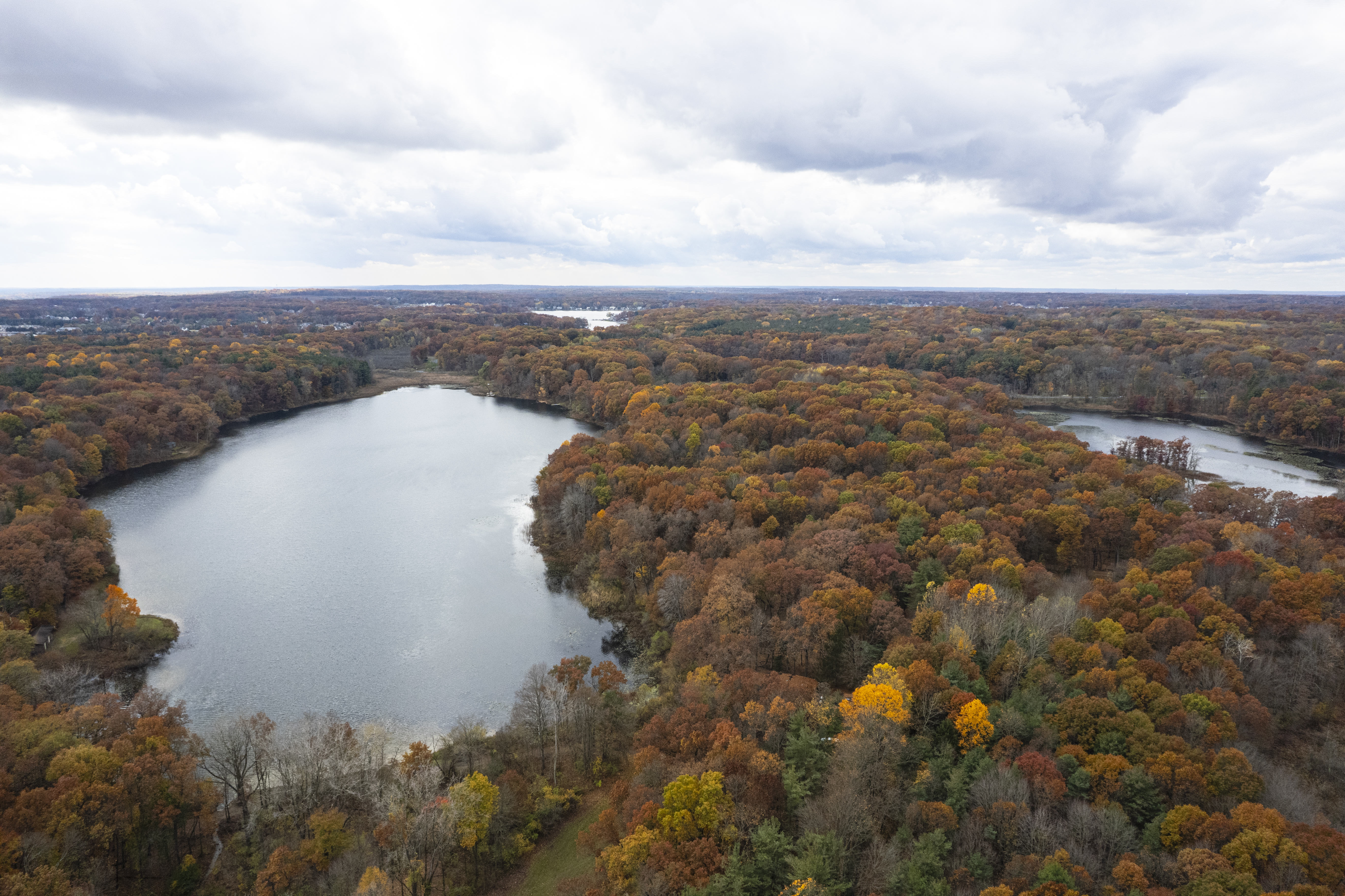 Arthur E. & Mildred H. Woollam Nature Preserve in Kalamazoo County ...