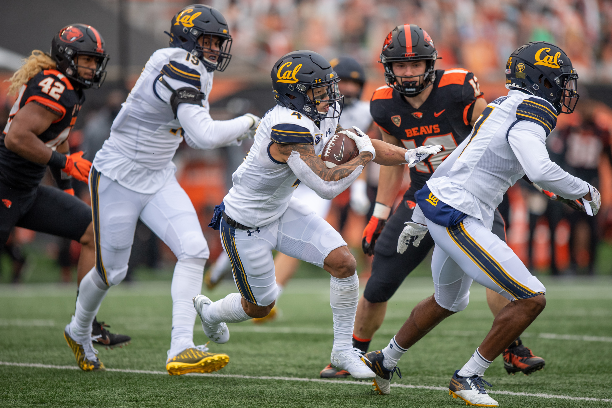 Oregon State Beavers football vs. Cal Golden Bears - oregonlive.com