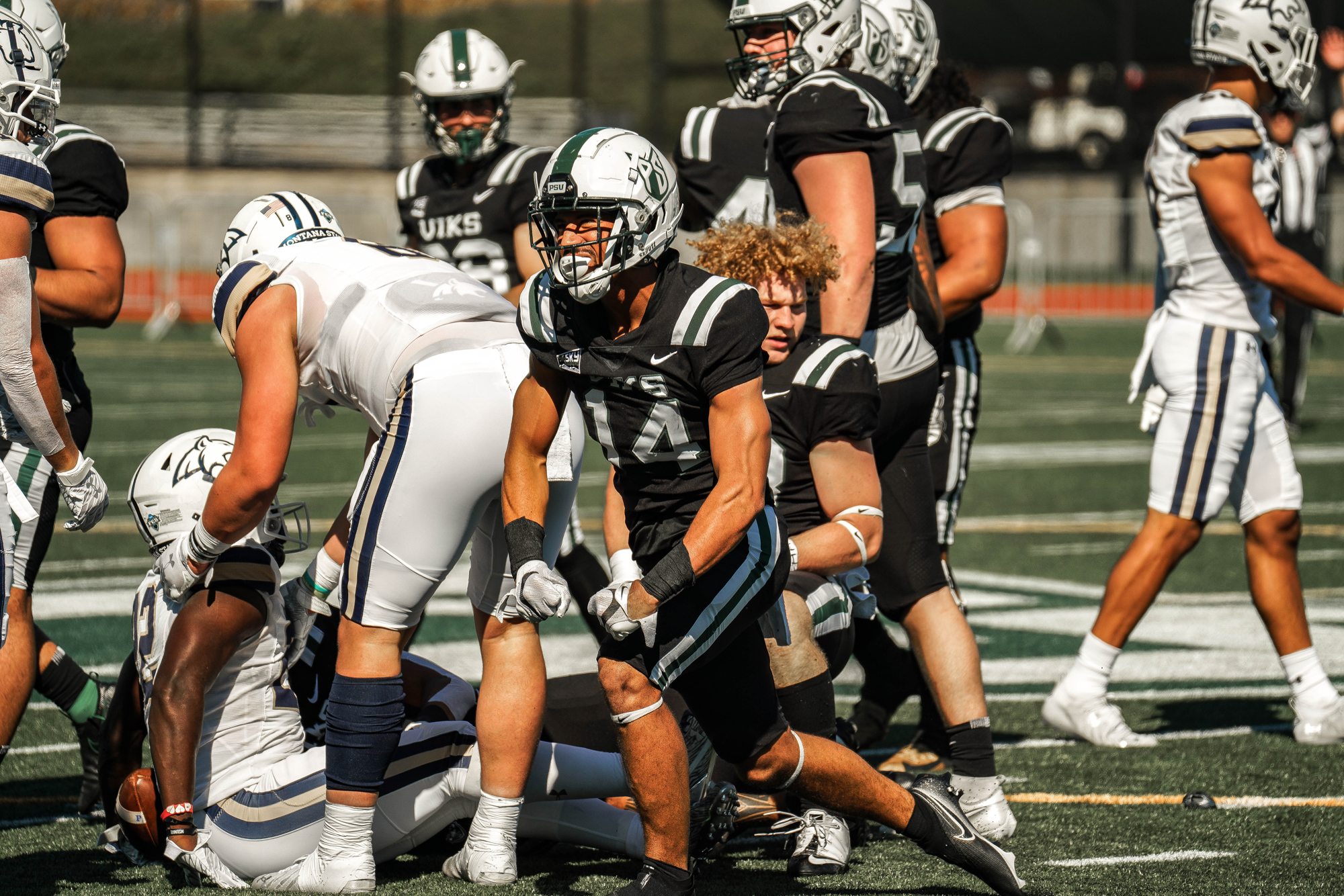 Portland State Vikings football vs. Montana State Bobcats - oregonlive.com