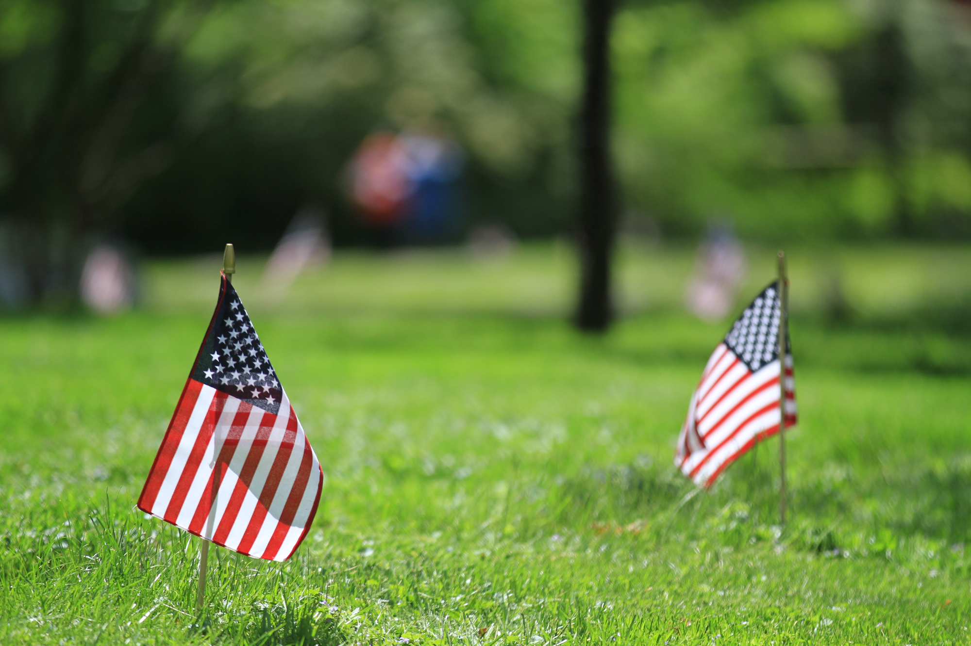 Flags placed on gravesites at Lake View Cemetery for Memorial Day ...