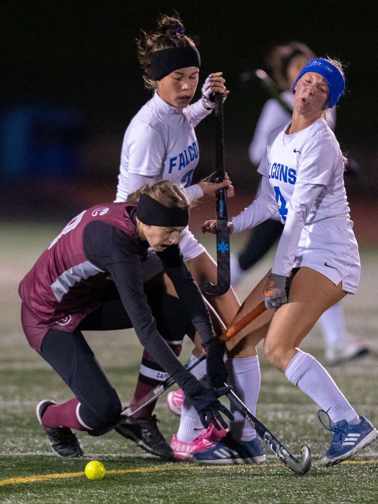 Lower Dauphin heads back to Field Hockey State Championship final ...