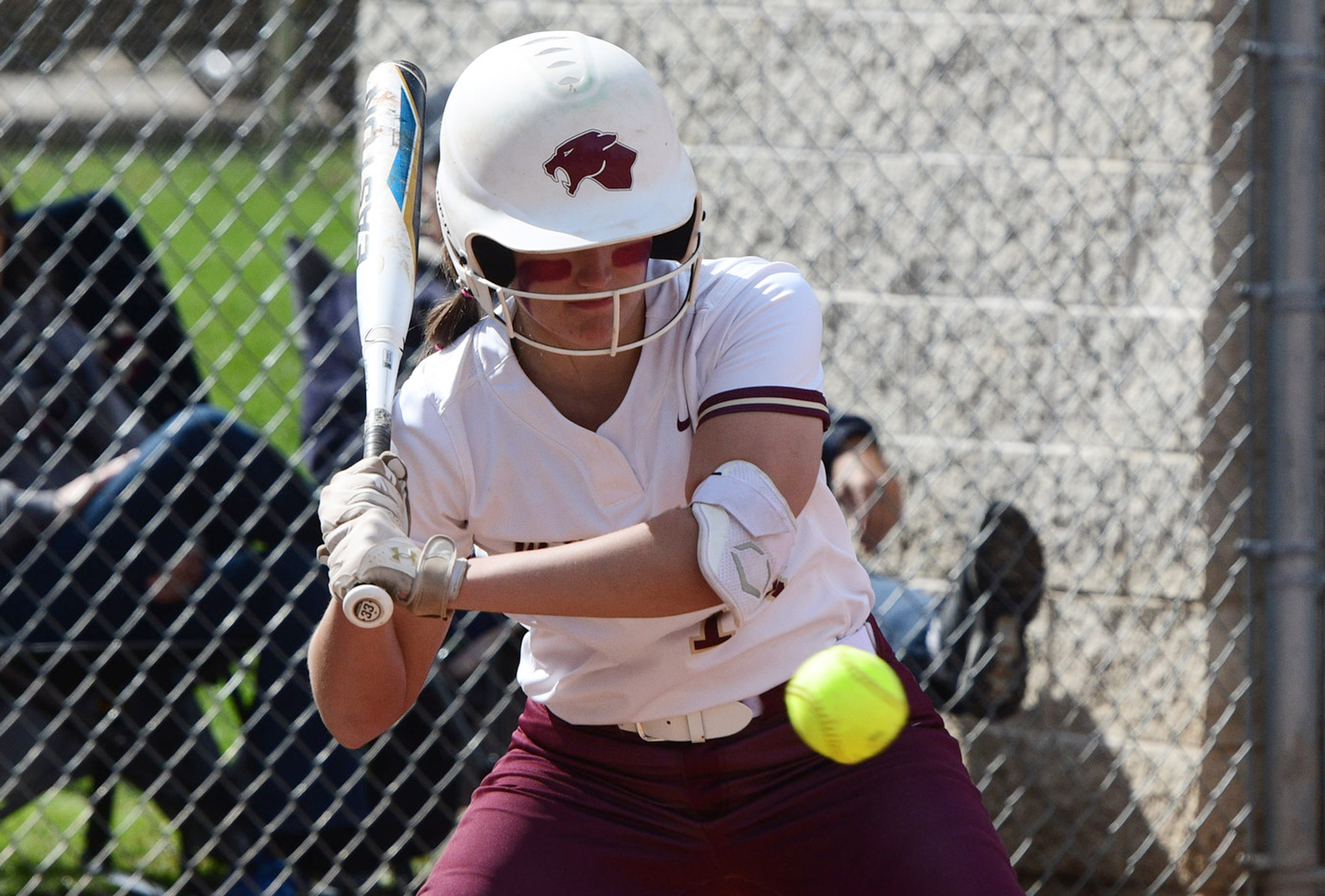 Parma Western girls softball hosts Jackson Northwest - mlive.com