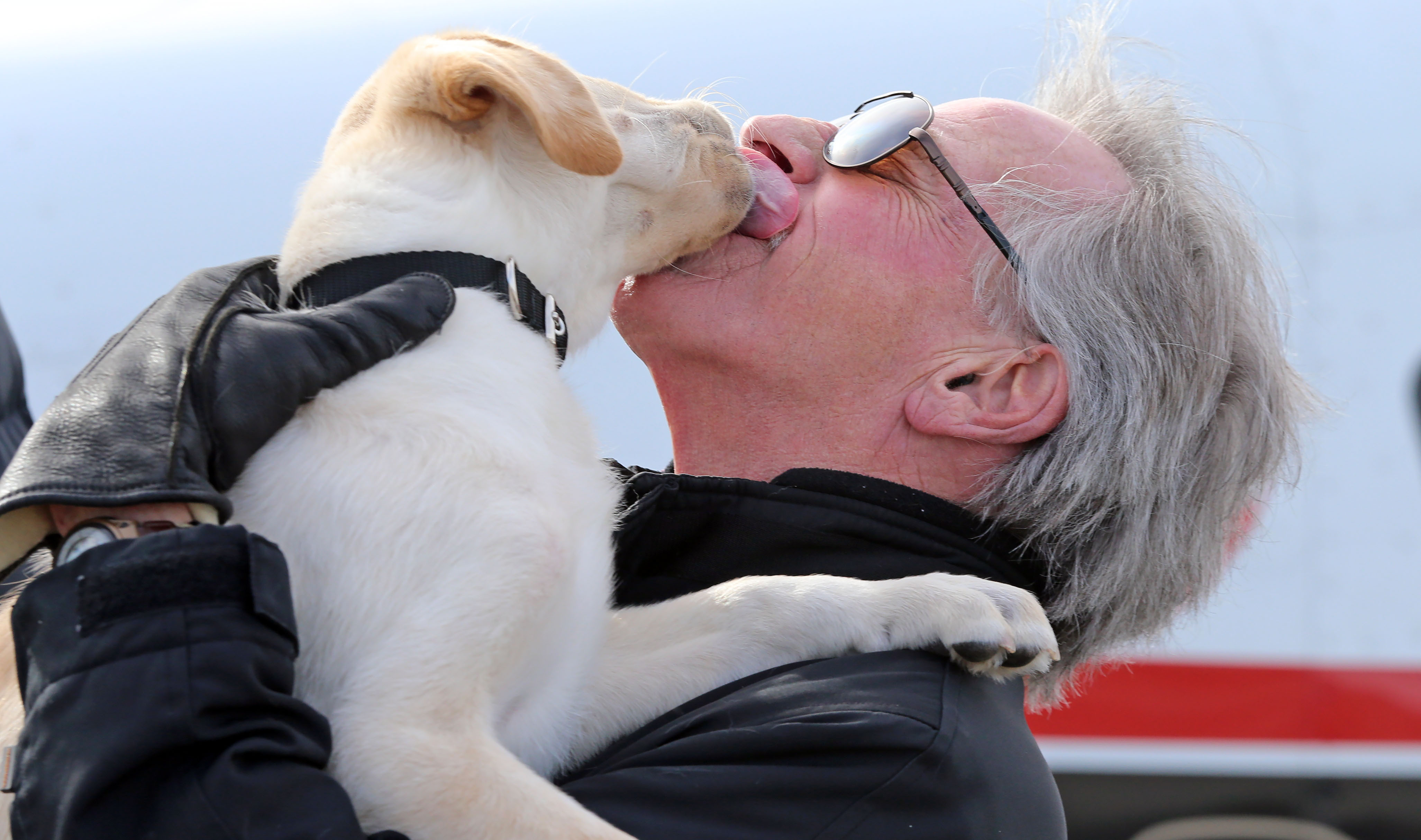 Guiding Eyes for the Blind flies in dogs to Cleveland, January 12, 2022 ...