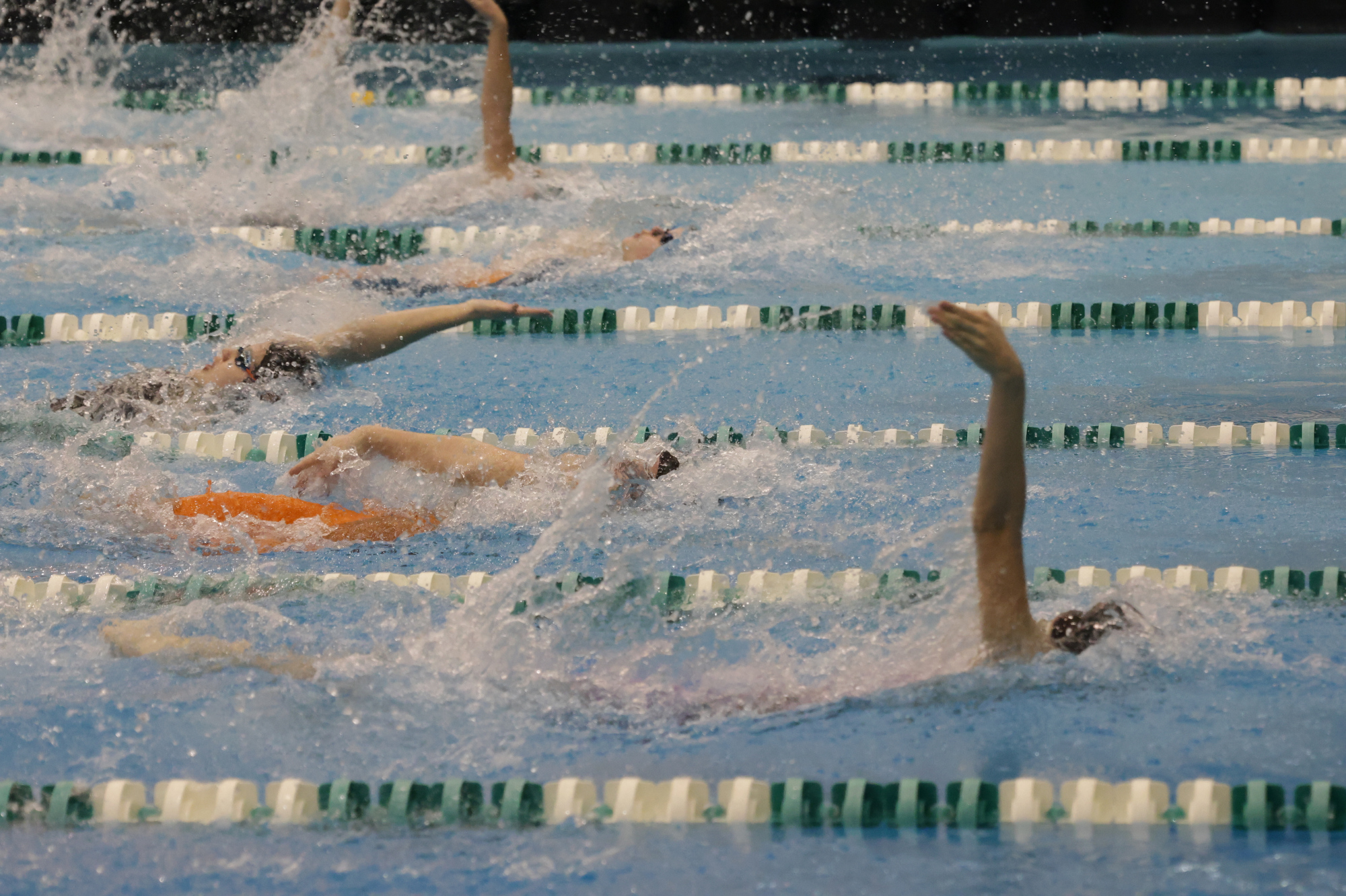 49th Viking Invitational Swim Meet at CSU - cleveland.com