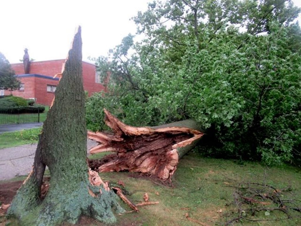 Isaias races towards the northeast - silive.com