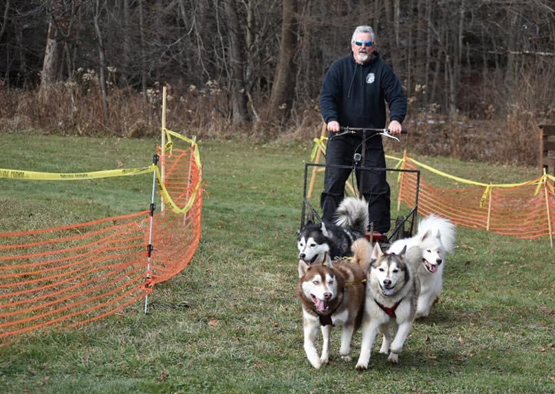 'The Beasts of Snow Nation' dog sledding - syracuse.com