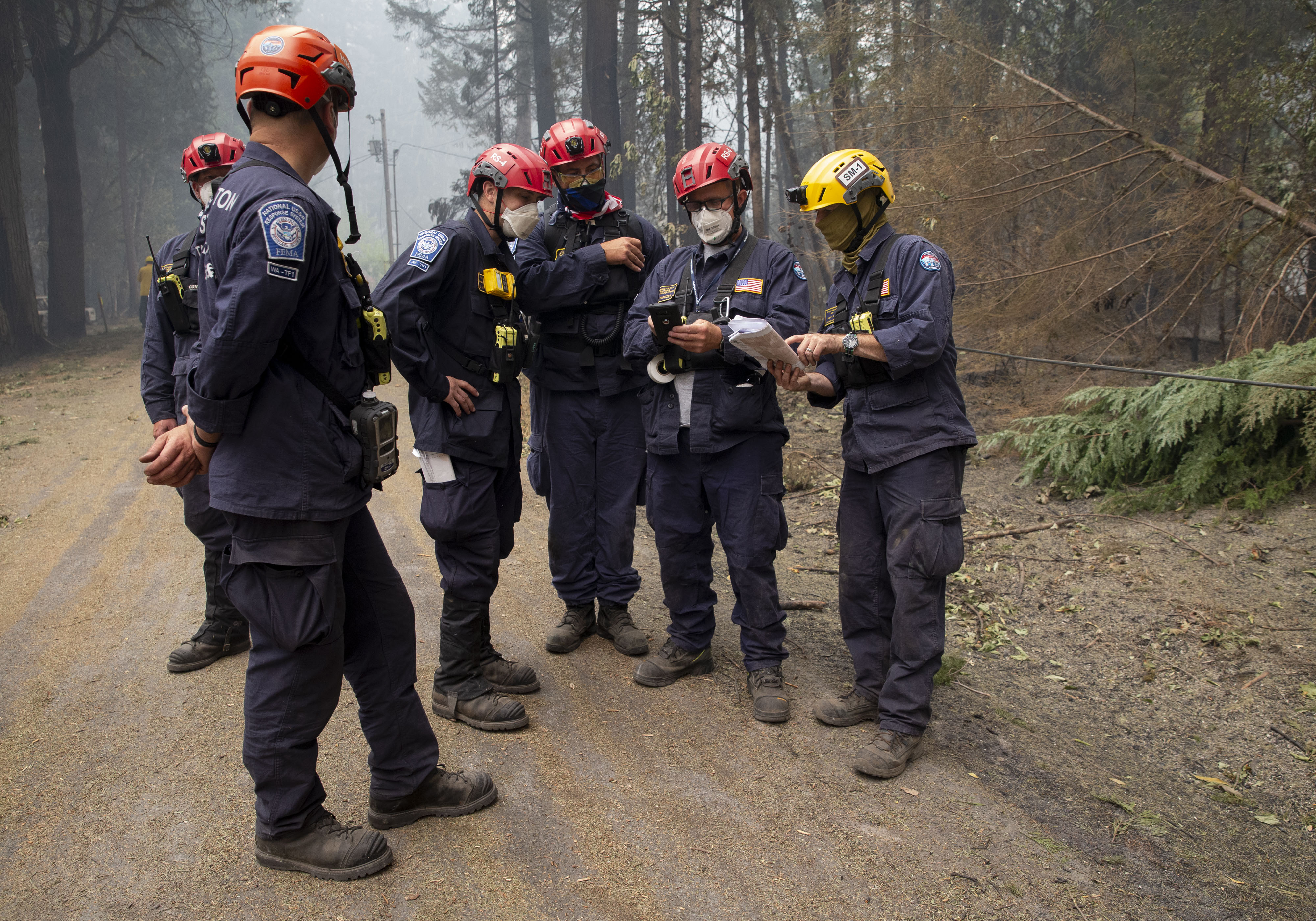 Holiday Farm wildfire damage - oregonlive.com
