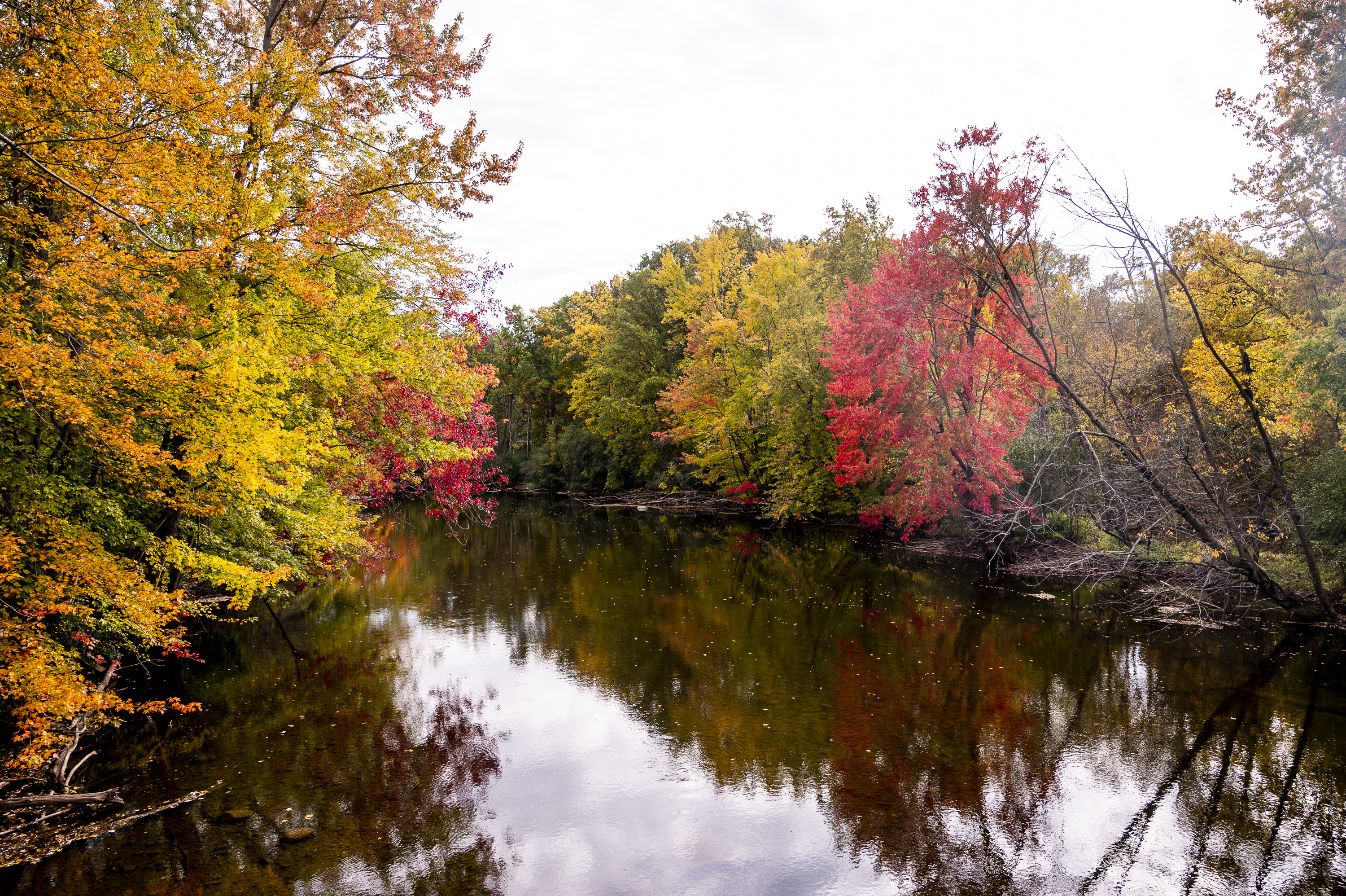 Fall colors begin to peak across Washtenaw County - mlive.com