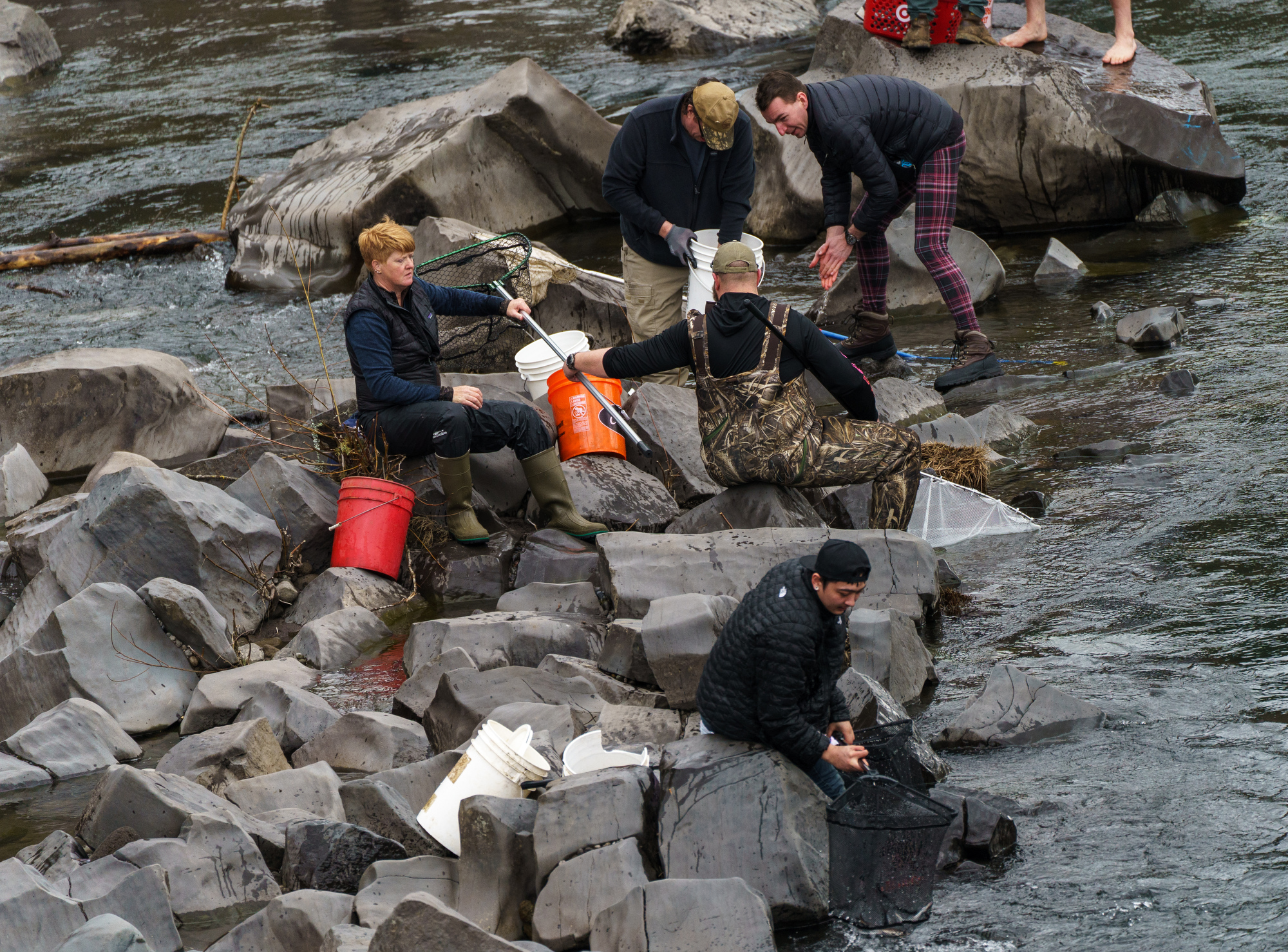 Smelt dipping returns to the lower Sandy River - oregonlive.com