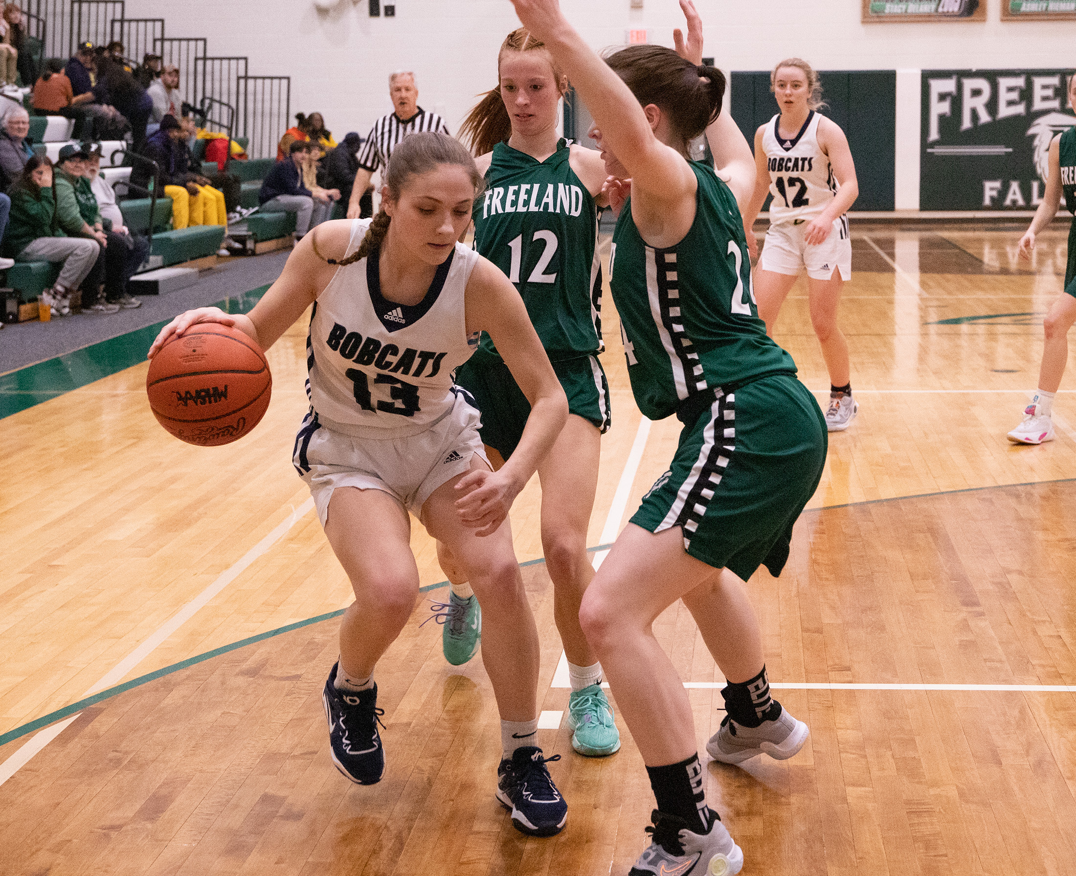Freeland defeats John Glenn 54-26 in the Saginaw-area Girls District ...