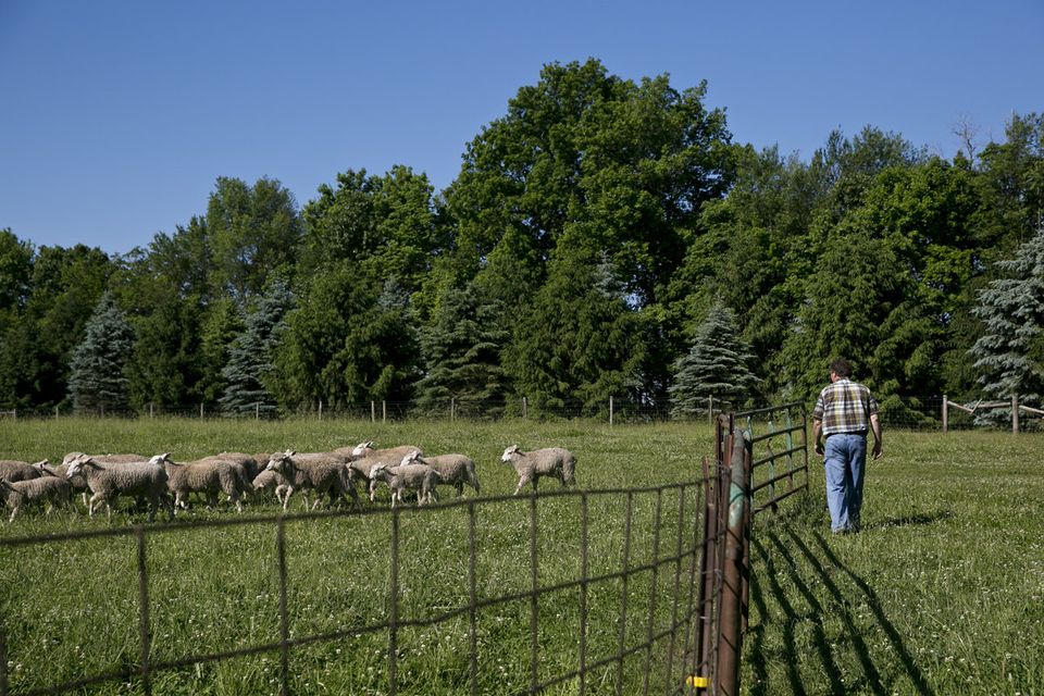 Carlson Farms - mlive.com