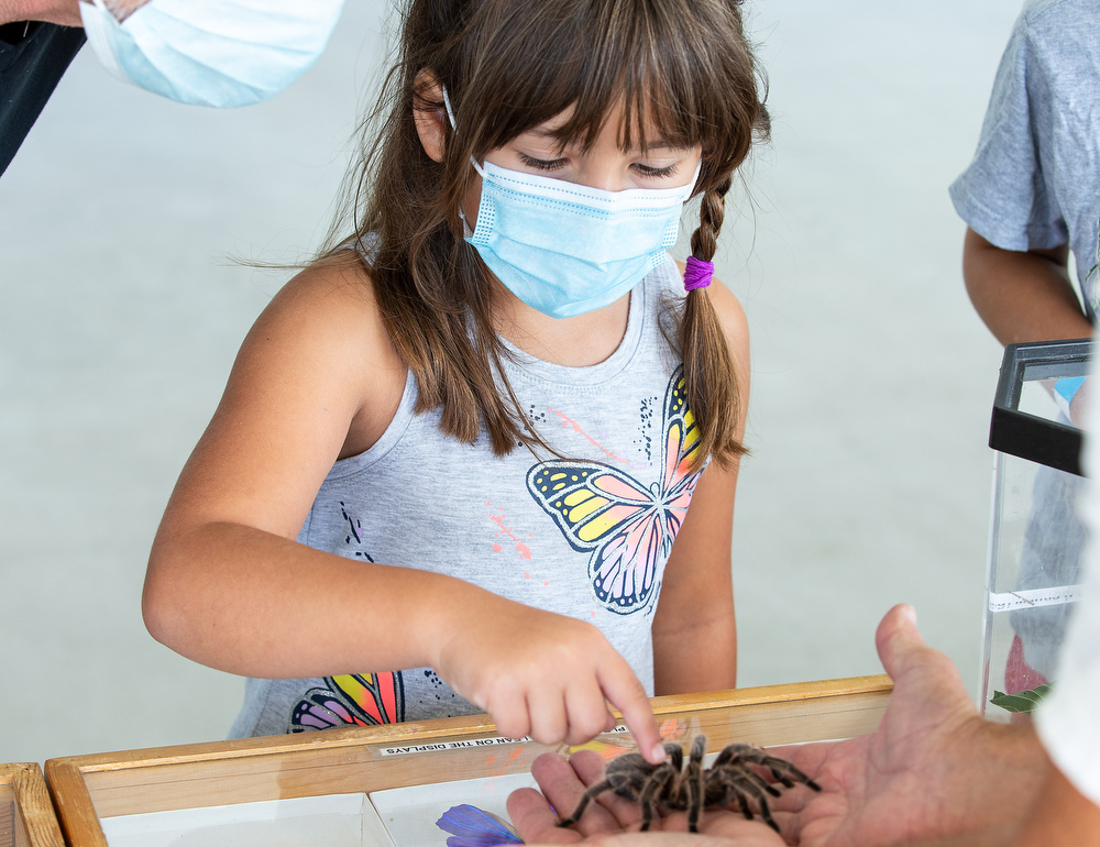 Bug O’Rama at Hershey Gardens - pennlive.com