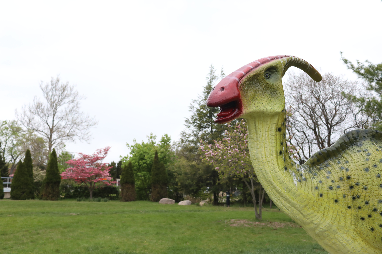'Dino Park' in Kalamazoo - mlive.com
