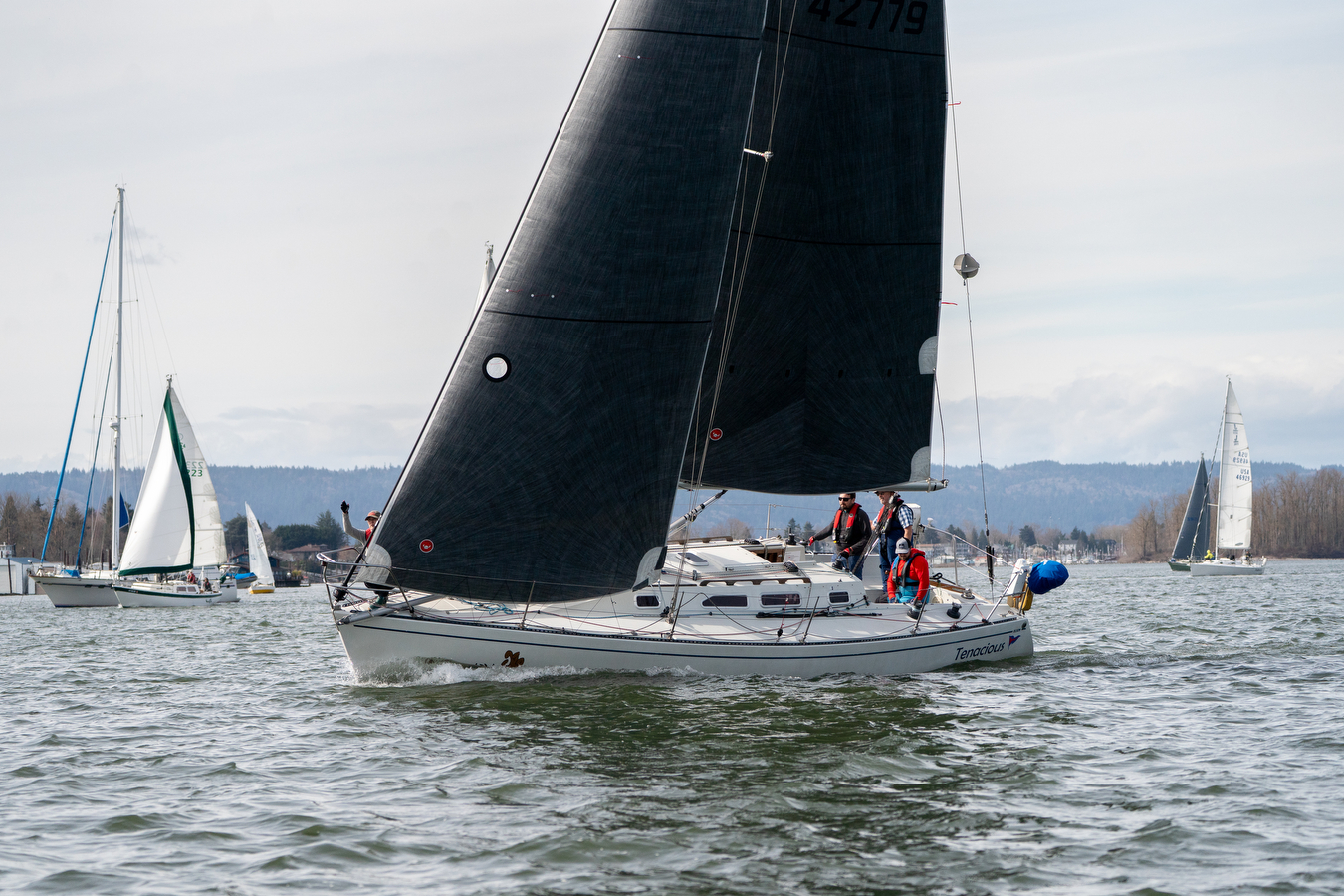 How to Get on a Sailboat in Portland—No Yacht Club Membership Required ...