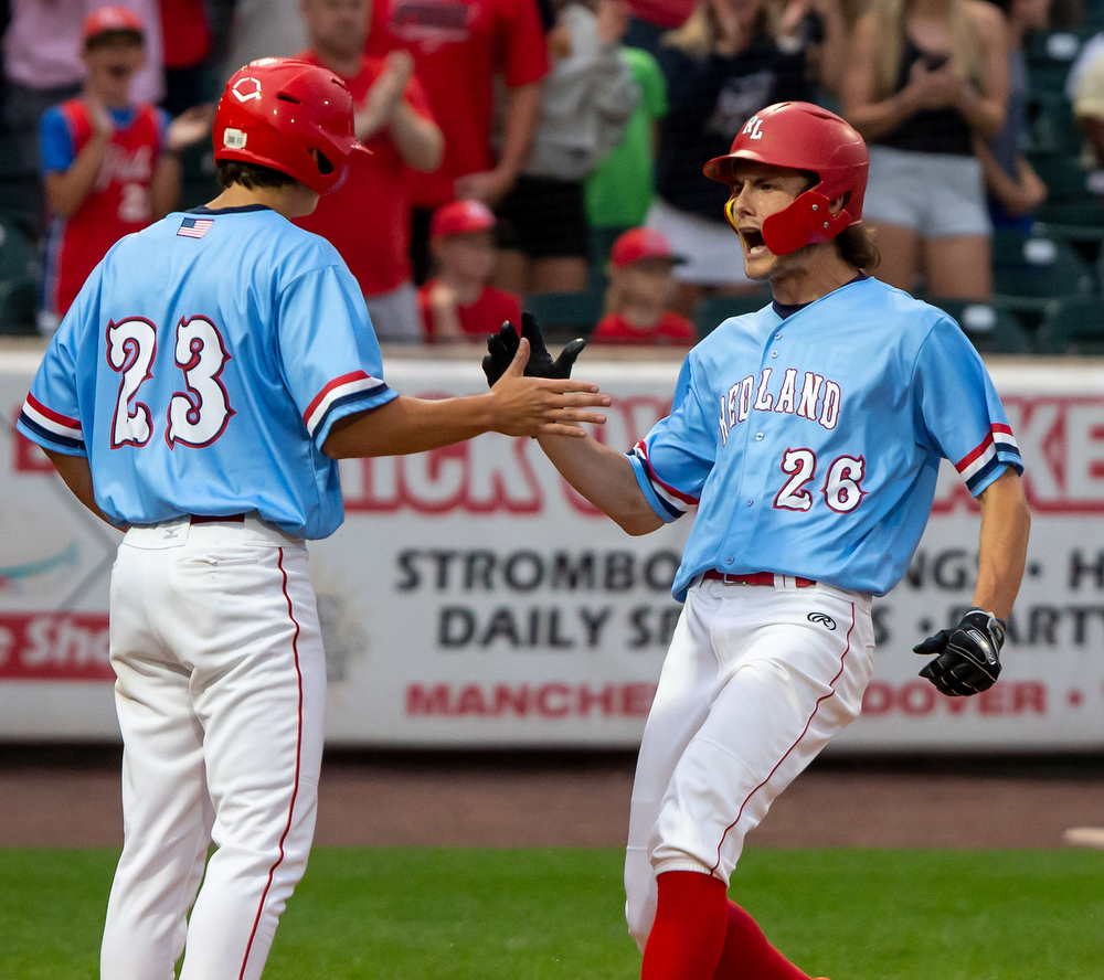 Red Land defeated Manheim Central 8-0 in PIAA Class 5A baseball ...