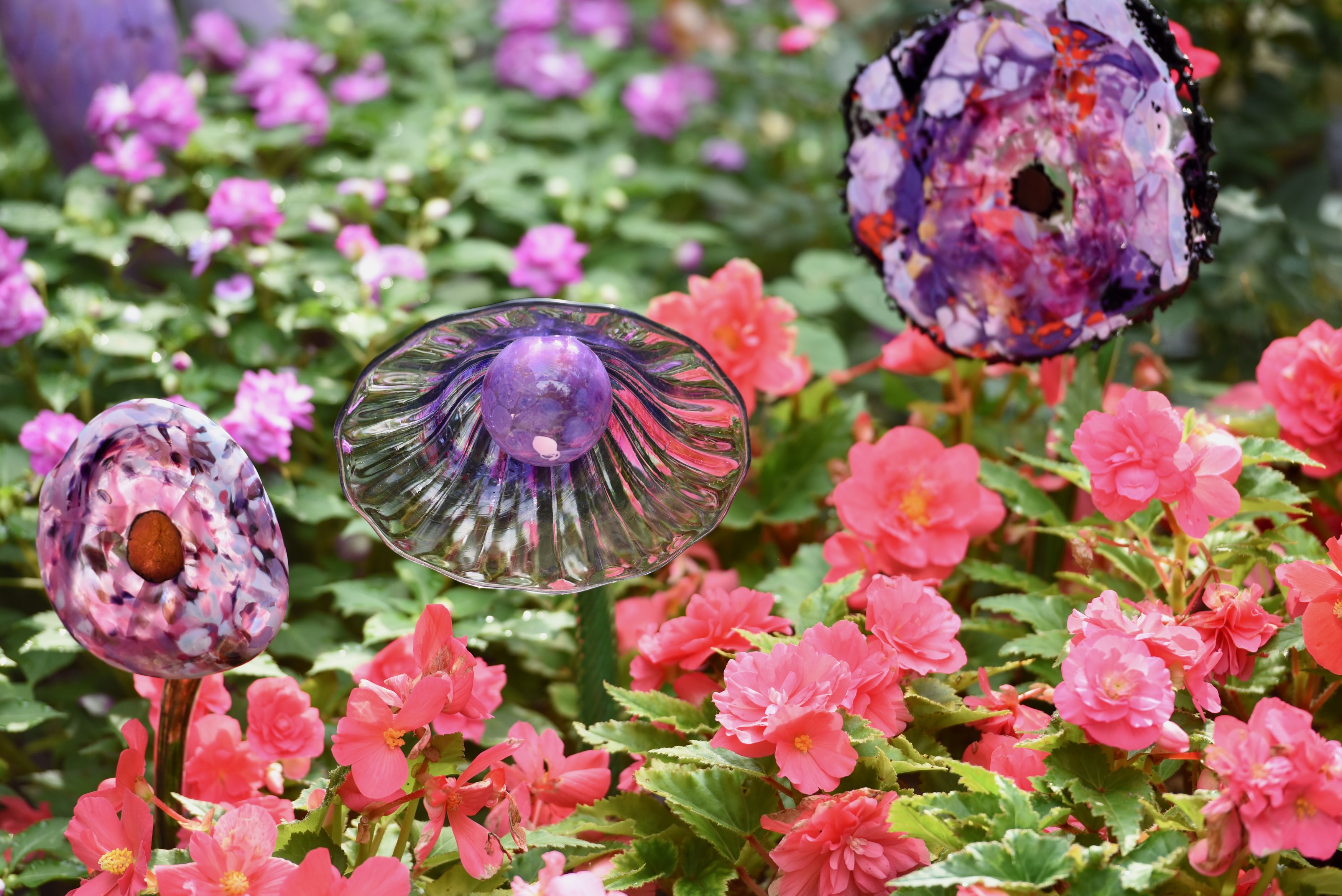Ann Arbor artist Larry Nisson's glass artwork and backyard garden ...