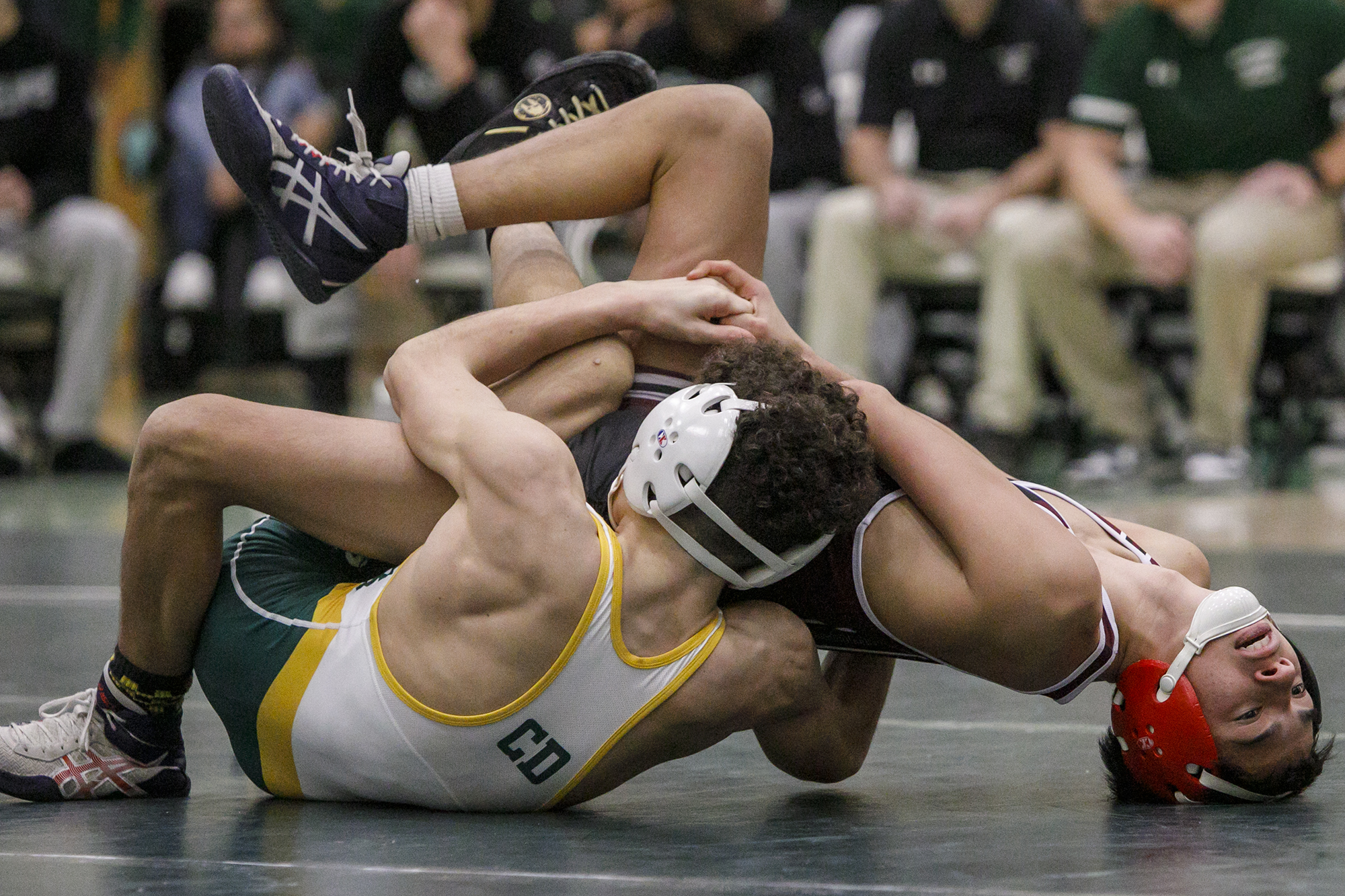State College vs Central Dauphin in boys high school wrestling ...