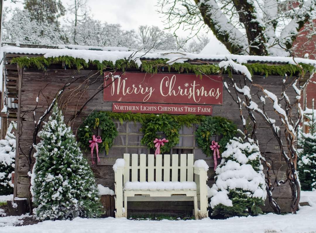 Oregon Christmas Tree Farm - oregonlive.com