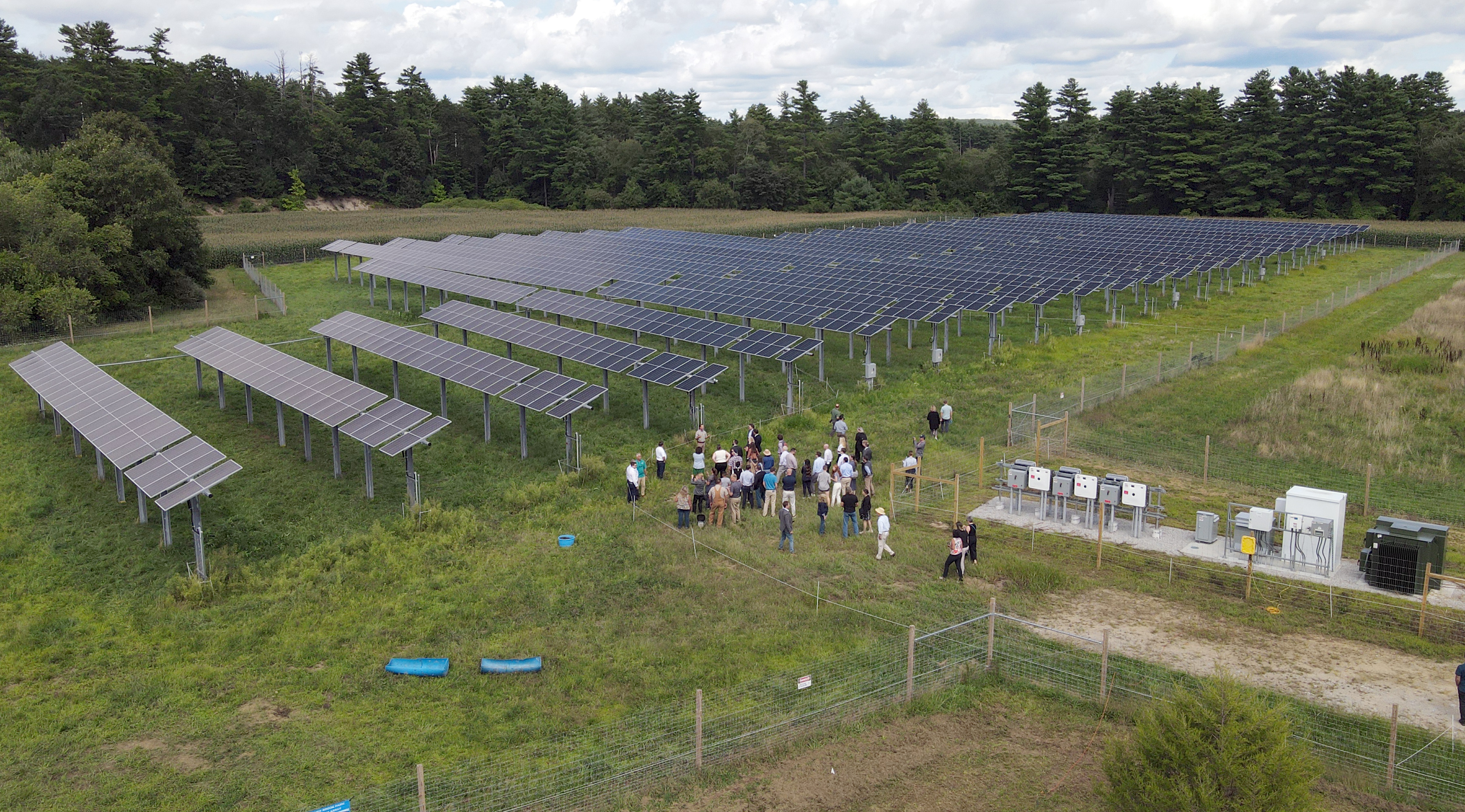 BlueWave's Agrivoltaic solar array now online in Palmer - masslive.com